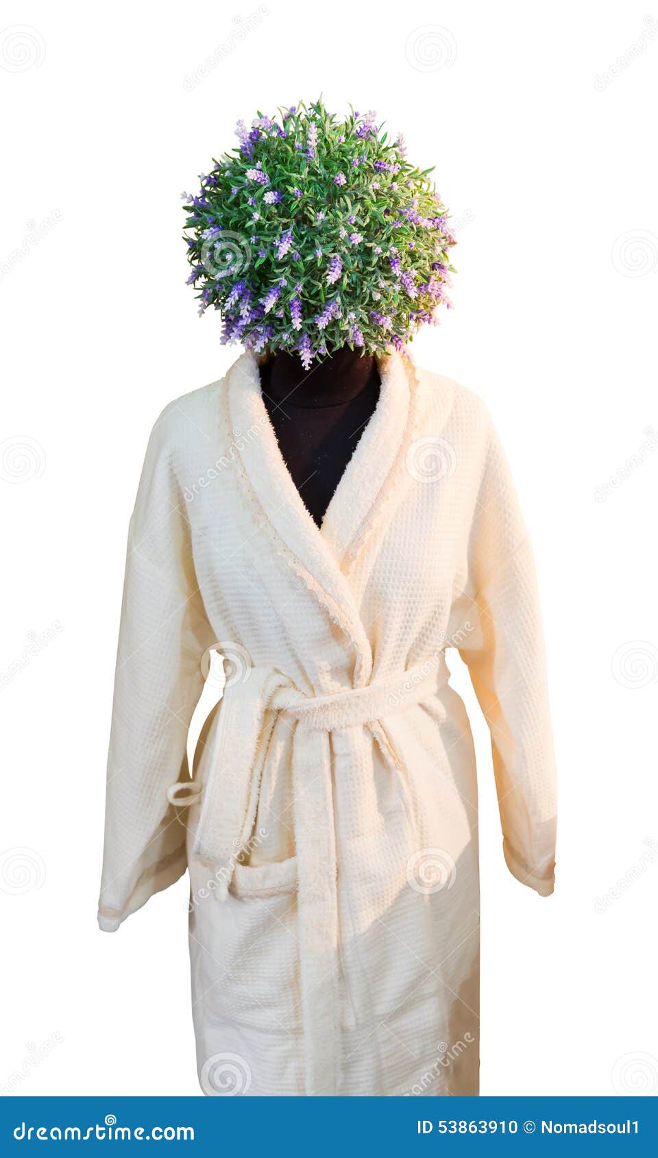 Human Figure with Flower Head Stock Photo - Image of blossom, fresh ...