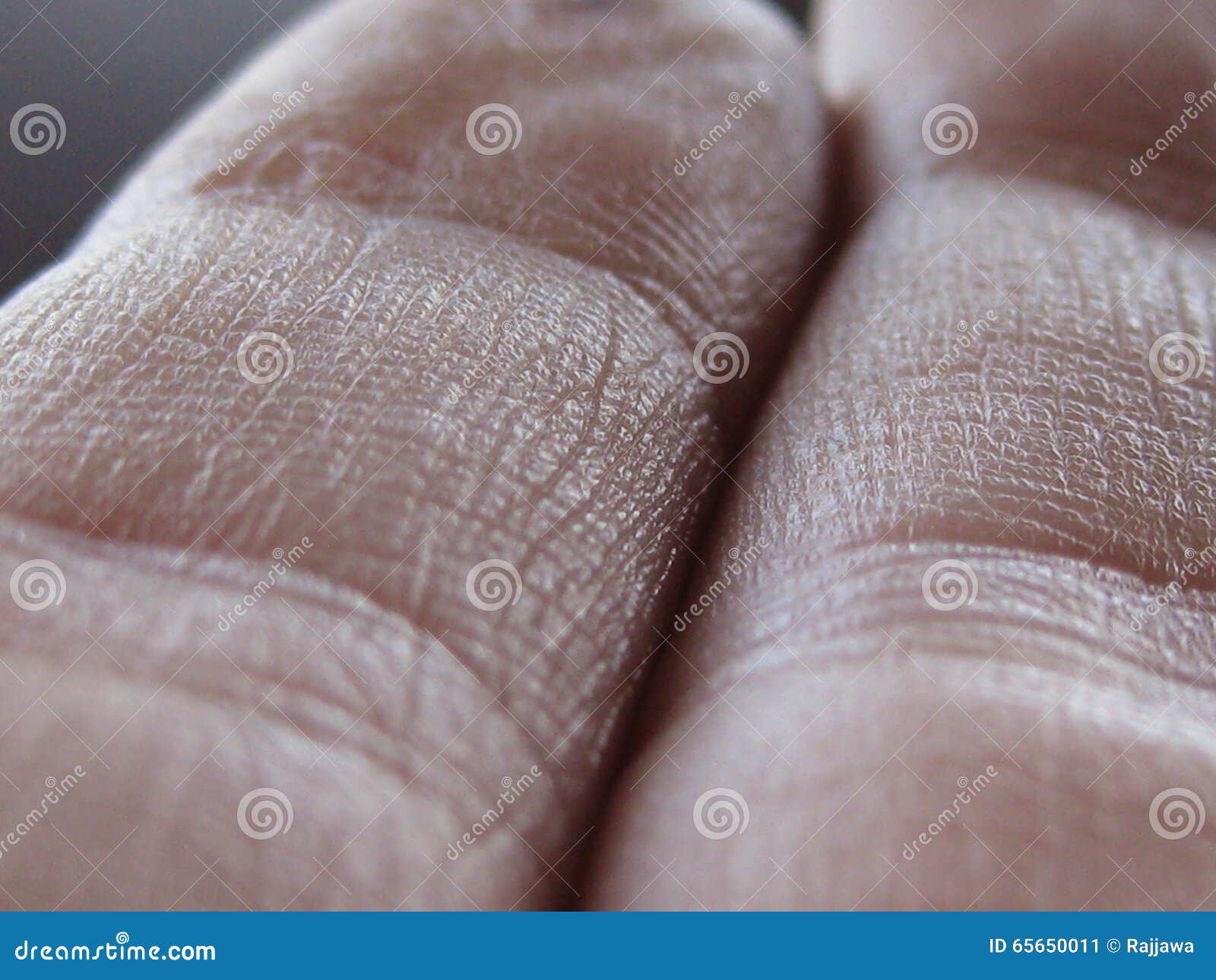 Human Finger Texture stock image. Image of hands, human - 65650011
