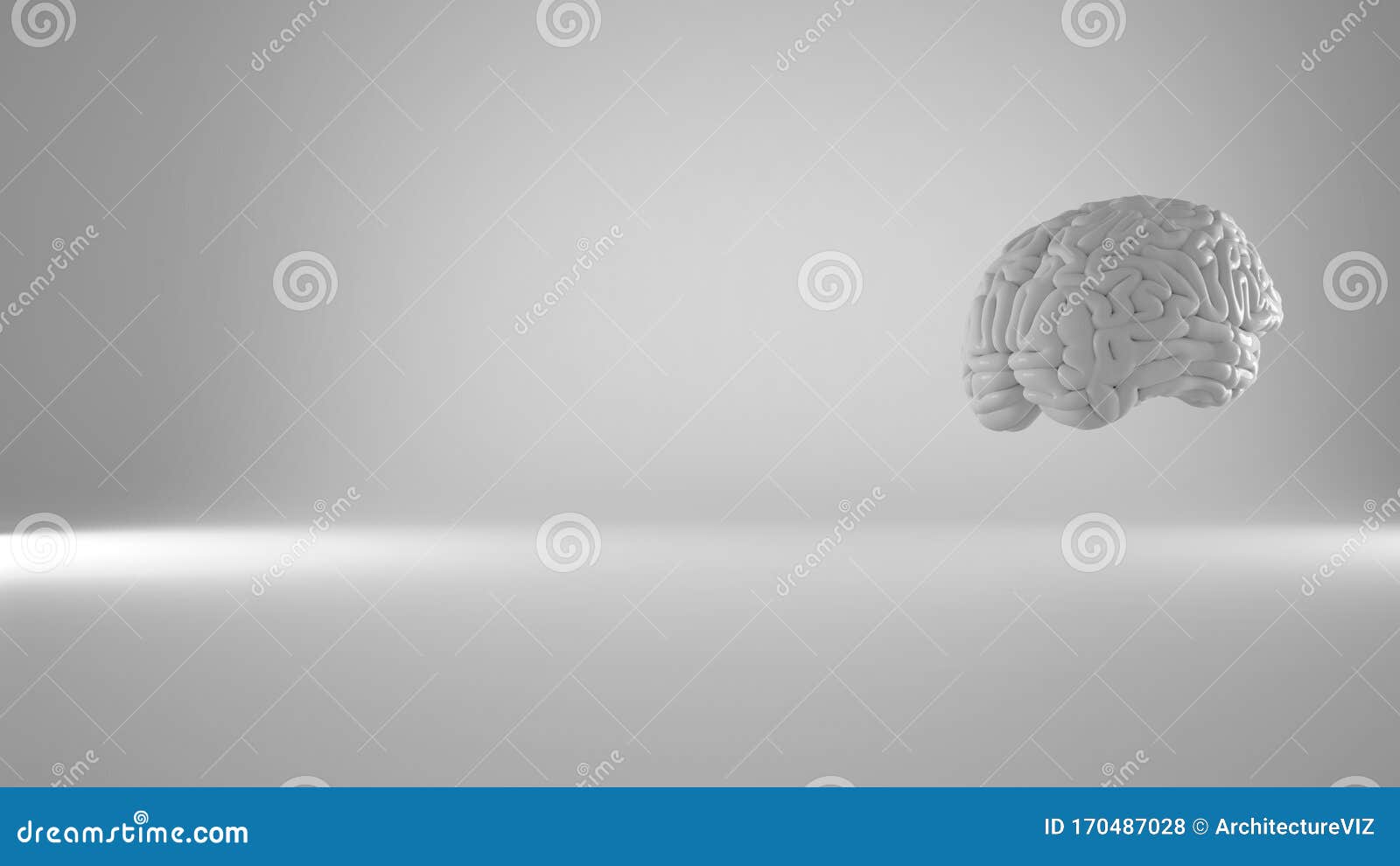 Human Floating Brain on White Background, Human Intelligence Concept ...