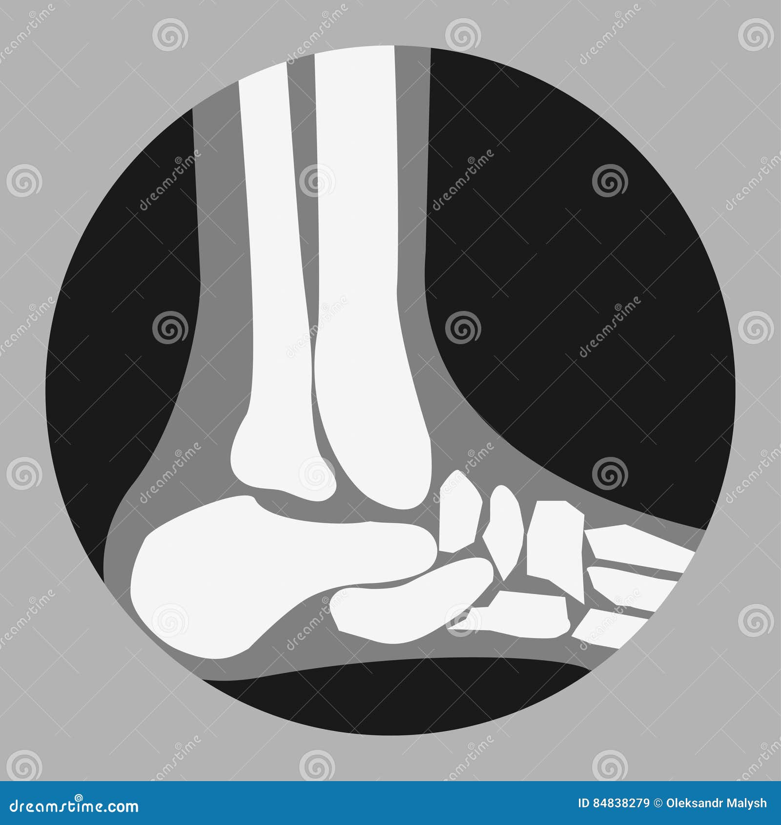 Human Foot Bones stock vector. Illustration of icon, bone - 84838279