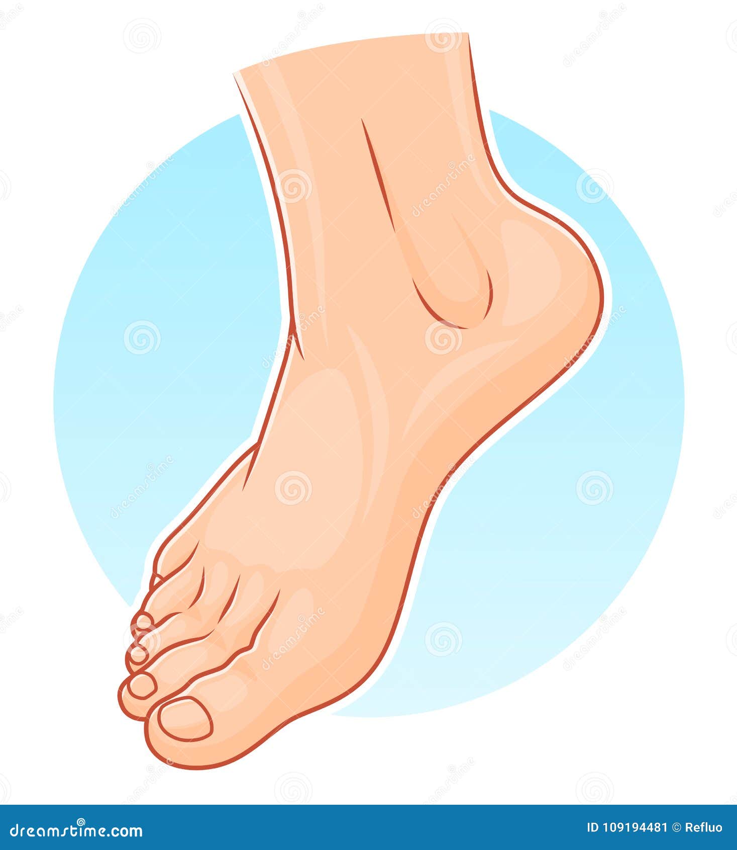 Human foot illustration stock vector. Illustration of isolated - 109194481
