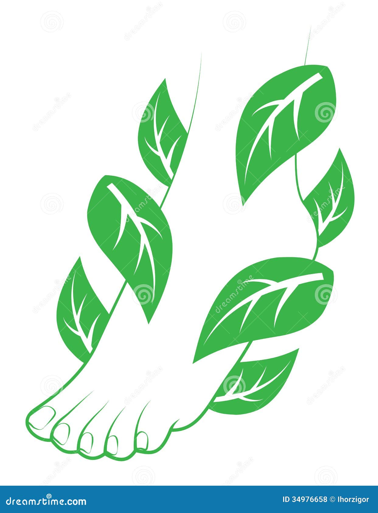 Human foot with leafs stock vector. Illustration of barefoot - 34976658