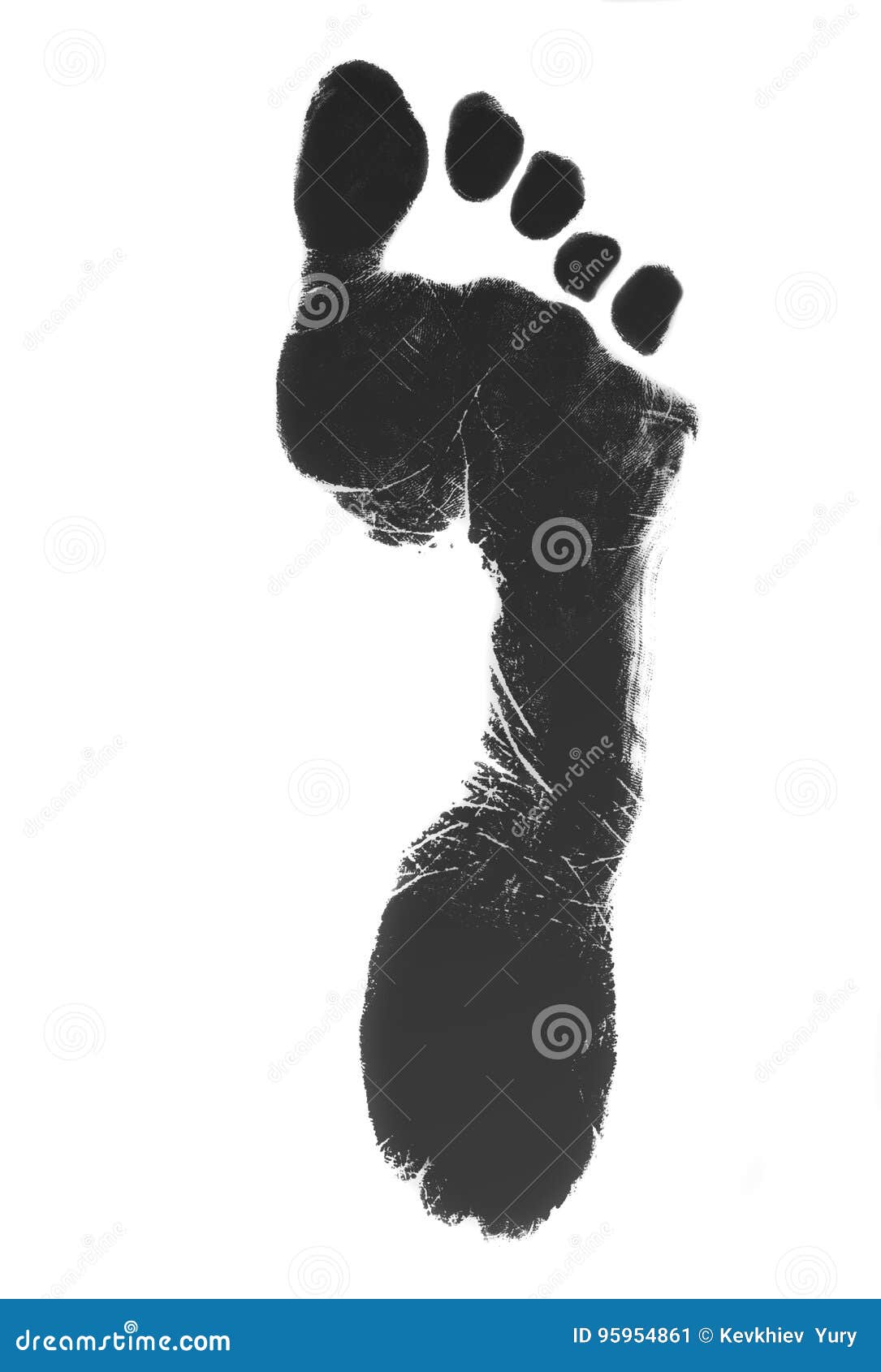 Human Foot Print Isolated on White Stock Image - Image of abstract ...
