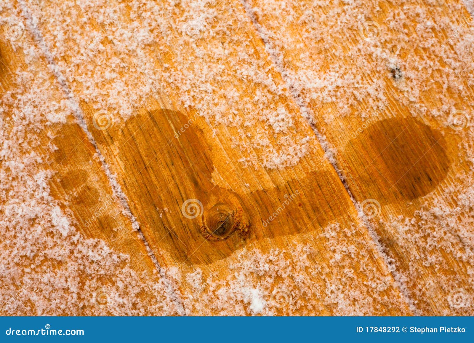 Human Foot Prints Stock Photography | CartoonDealer.com #17848292