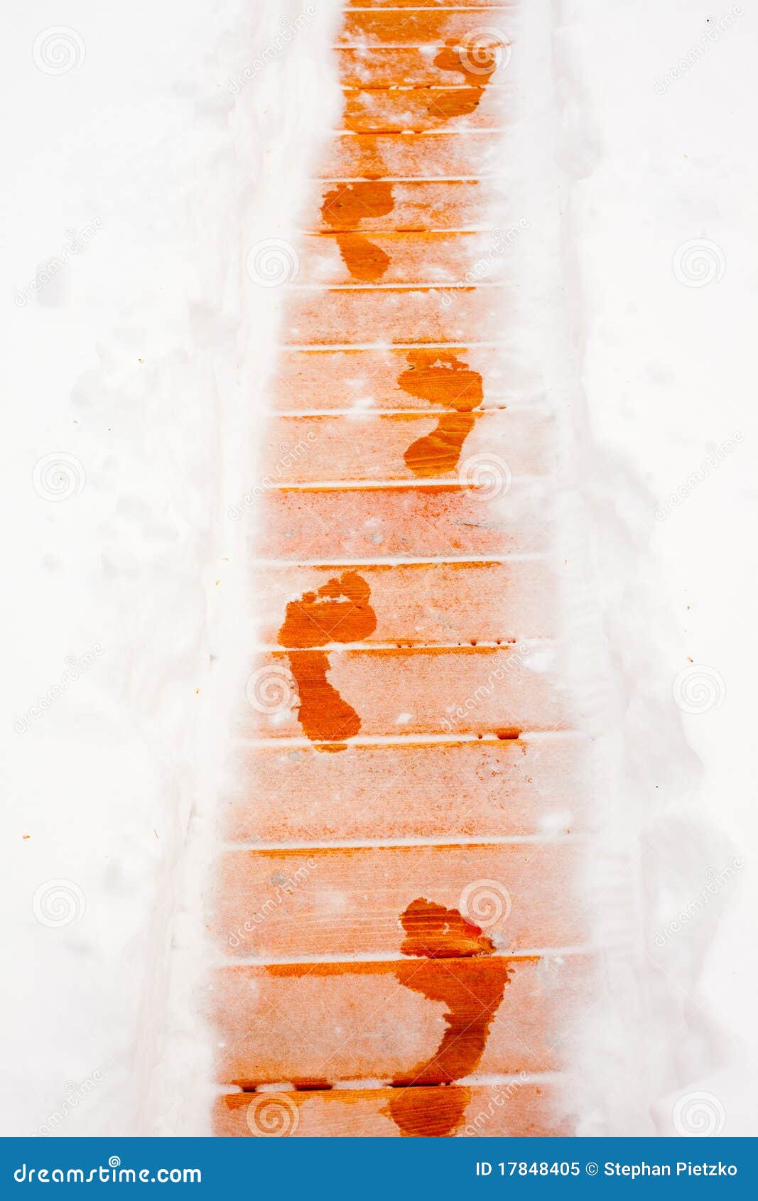 Human foot prints stock image. Image of footprint, footpath - 17848405