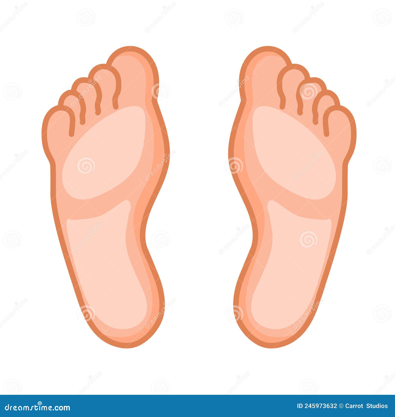 Human foot vector stock vector. Illustration of environment - 245973632