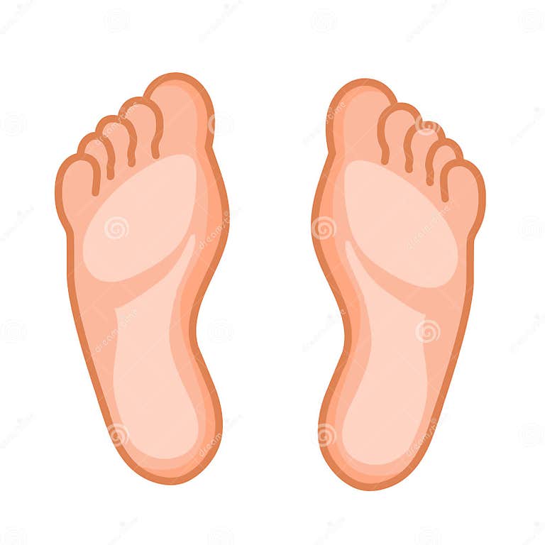Human foot vector stock illustration. Illustration of foot - 297608647