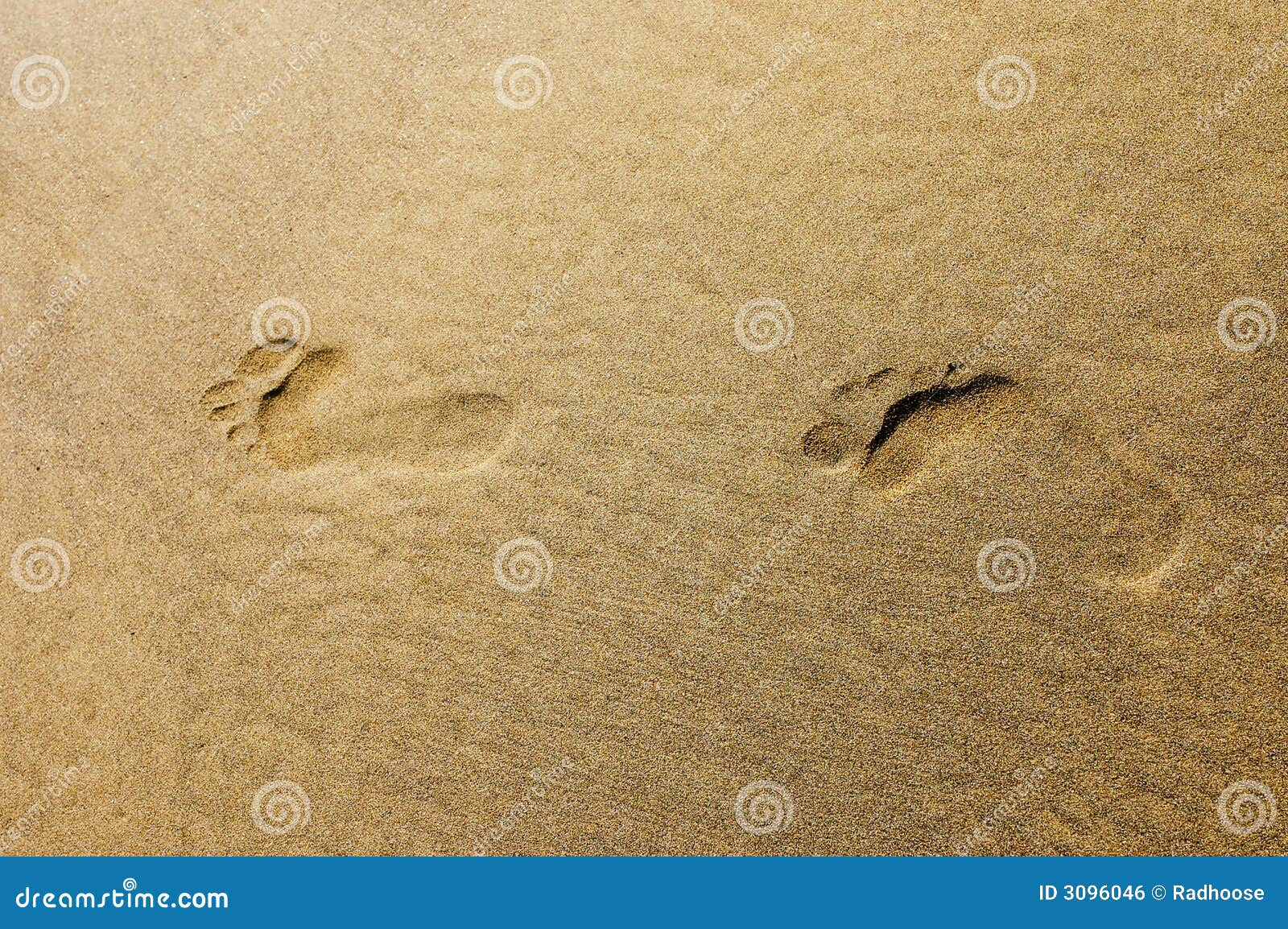 Human footprint stock photo. Image of walk, feet, footprint - 3096046