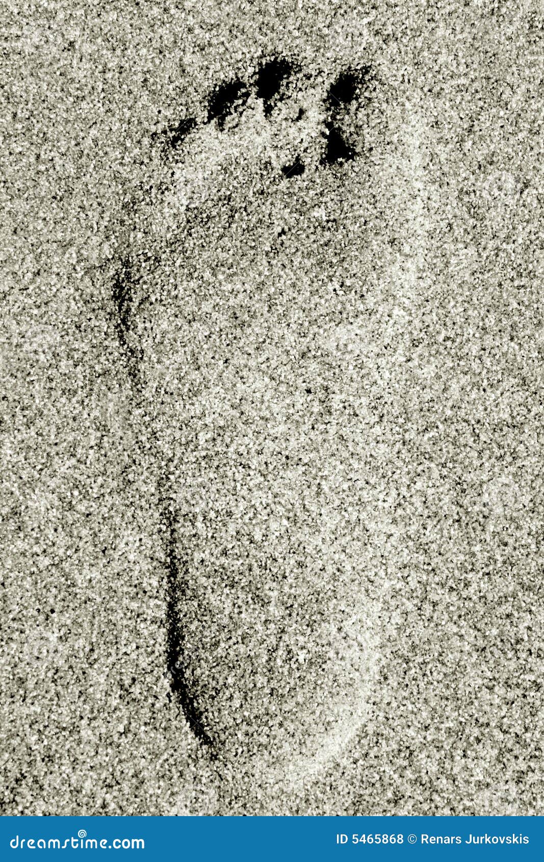 Human footprint stock photo. Image of human, away, alone - 5465868