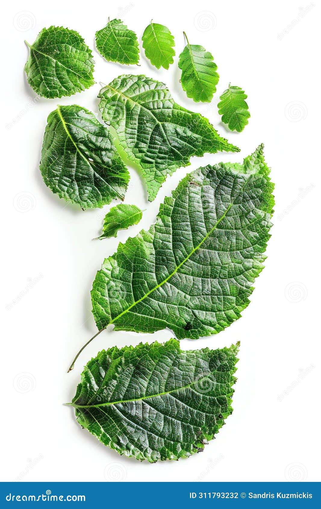 Human Footprint with Leaf Texture. Generative AI. Stock Illustration ...