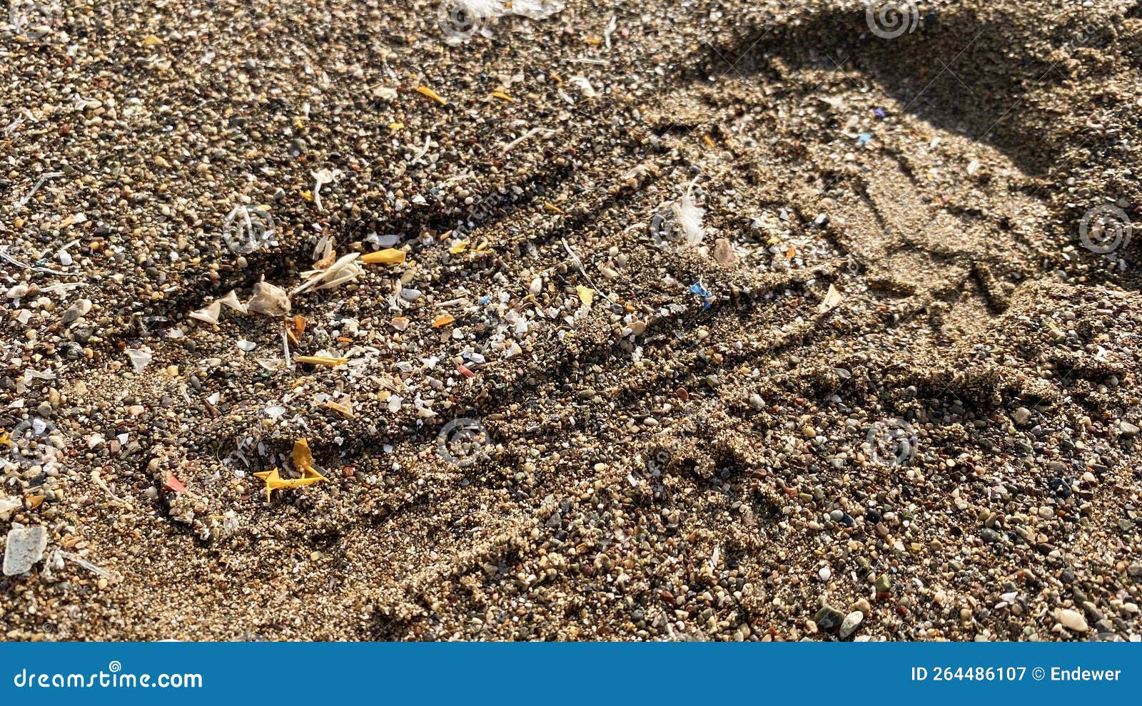 Human Footprint. Microplastic in the Sand on the Beach, Plastic ...