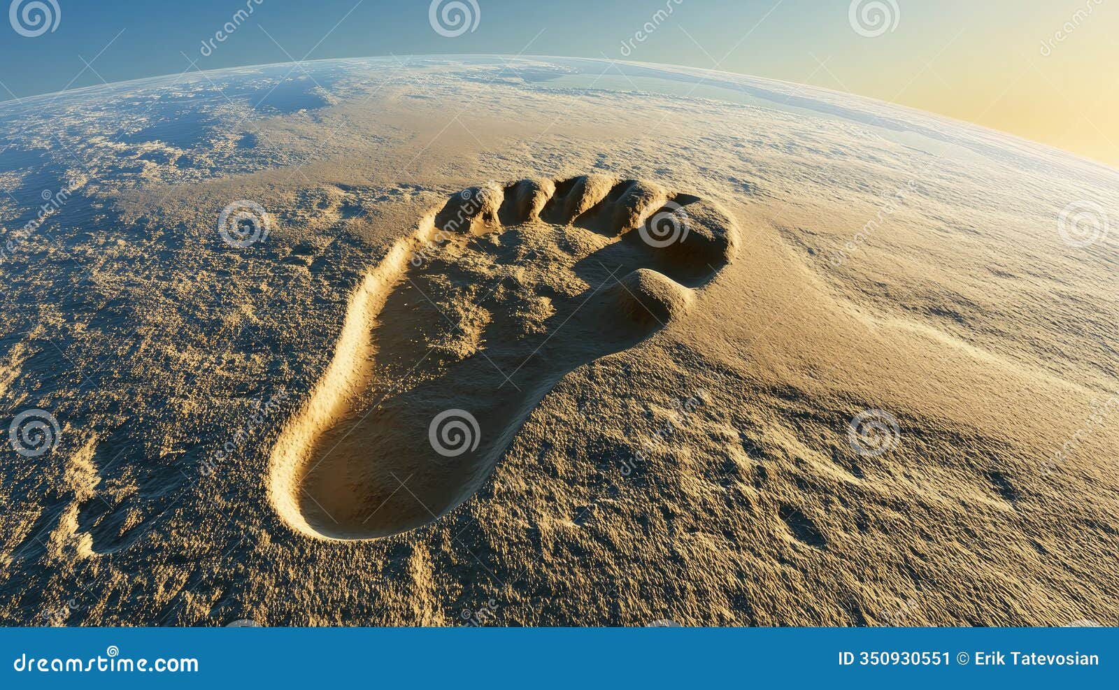 Dog Footprint On The Earth Footprint Dog On The Soil Land Comparison Of ...