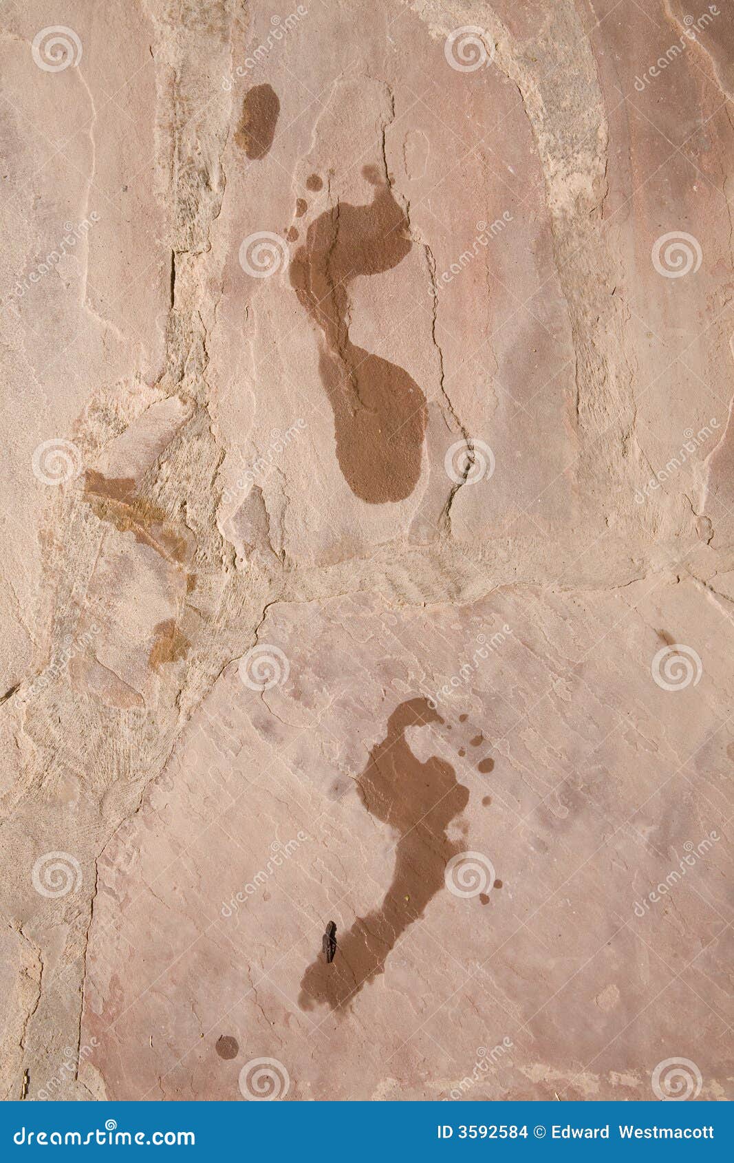 Human footprints stock photo. Image of outdoor, outside - 3592584