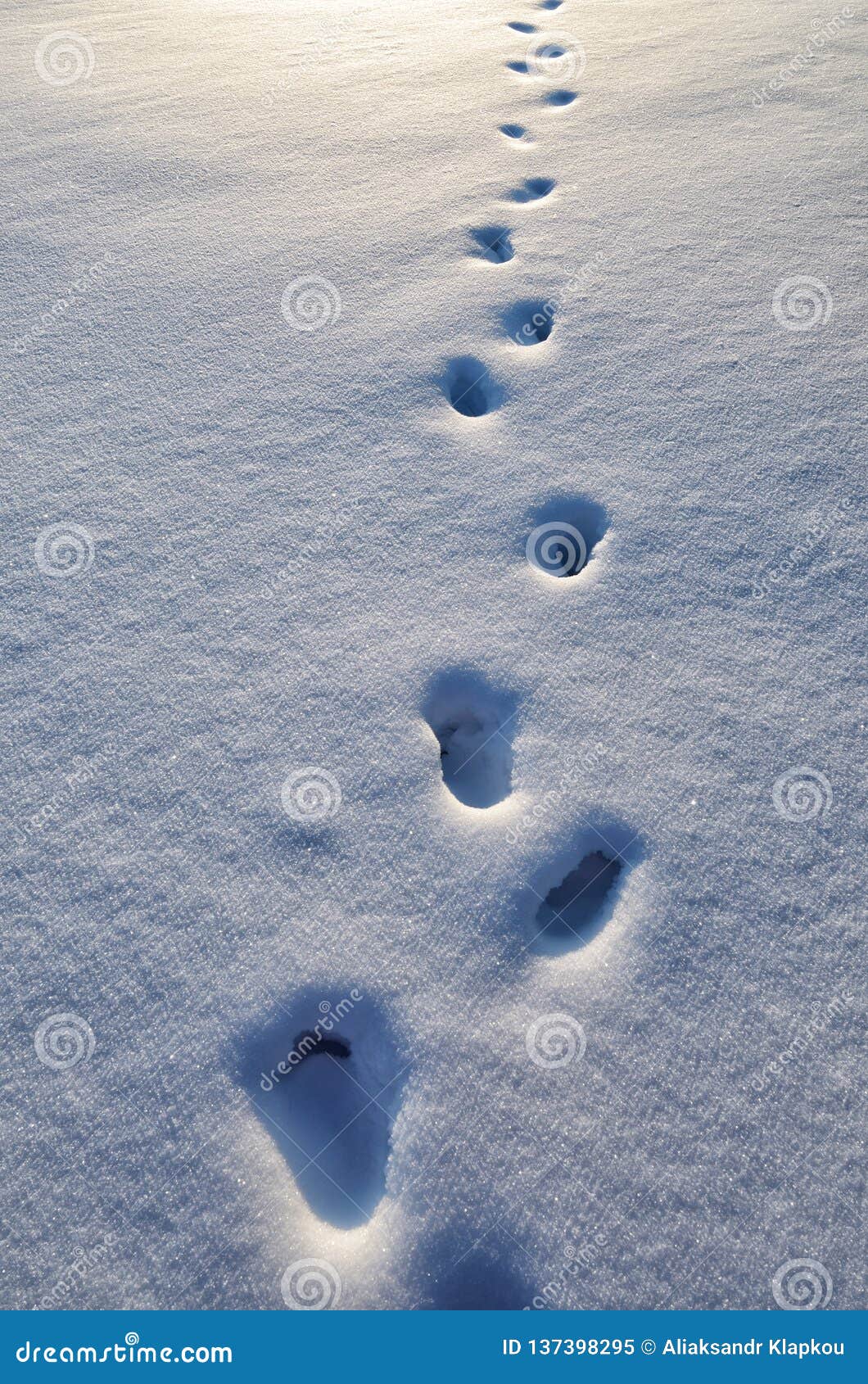 Human Footprints in the Snow Stock Image - Image of frost, away: 137398295