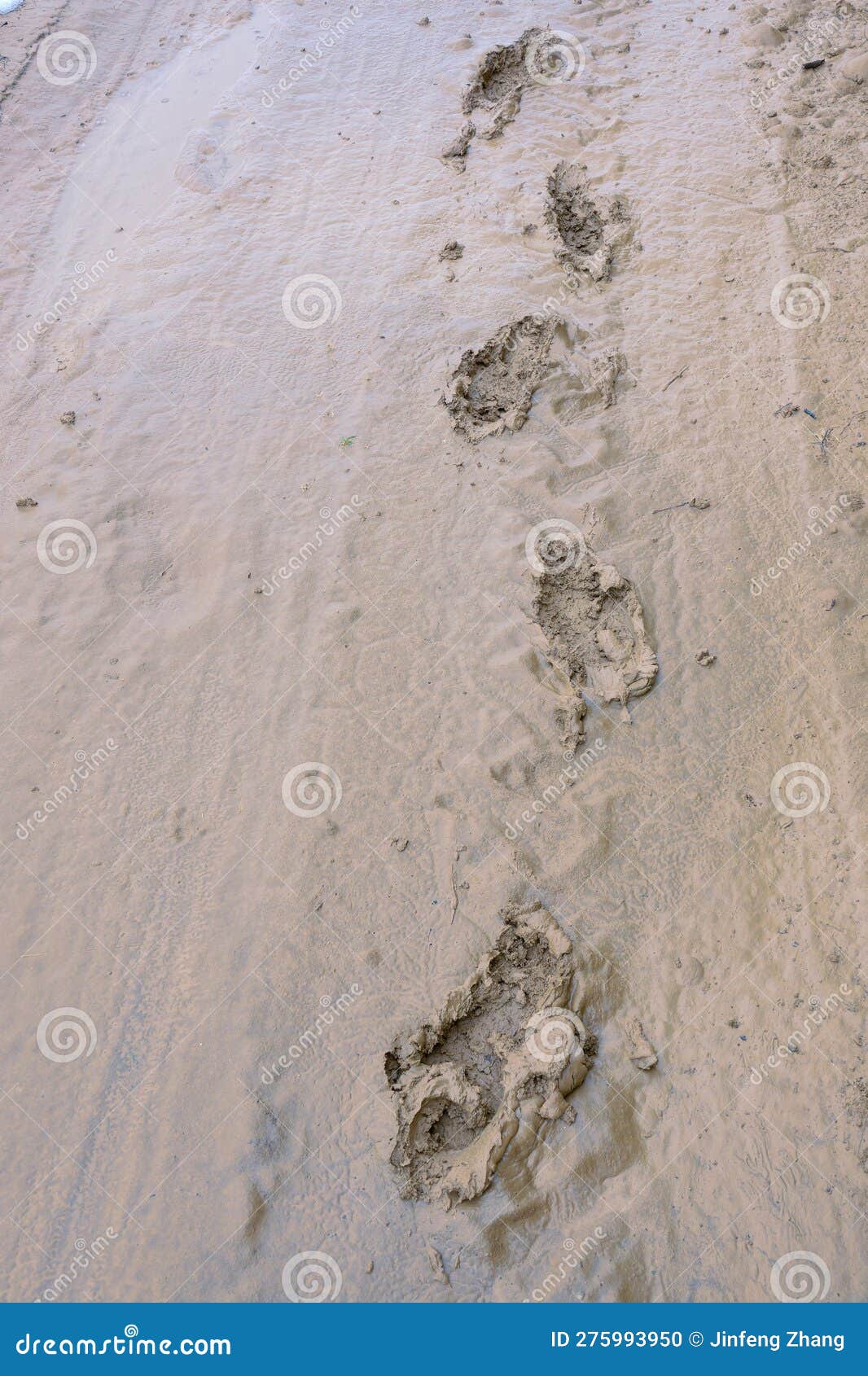 Human footprints stock photo. Image of footstep, foot - 275993950