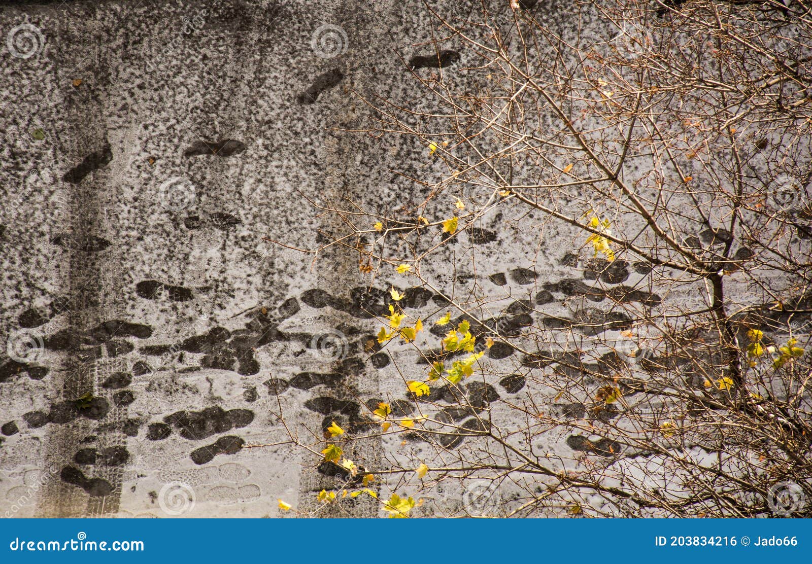 Human Footprints on the Earth Stock Photo - Image of steps, climatic ...