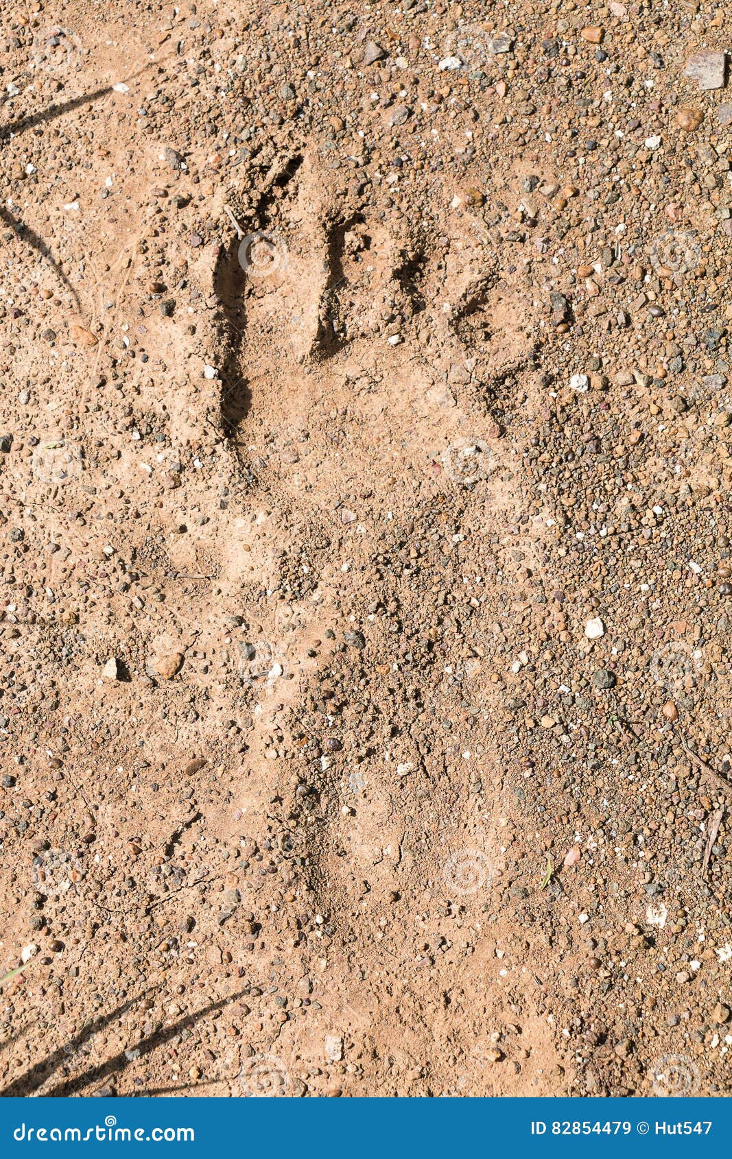 Human Footprints on the Ground, Stock Image - Image of long, foot: 82854479