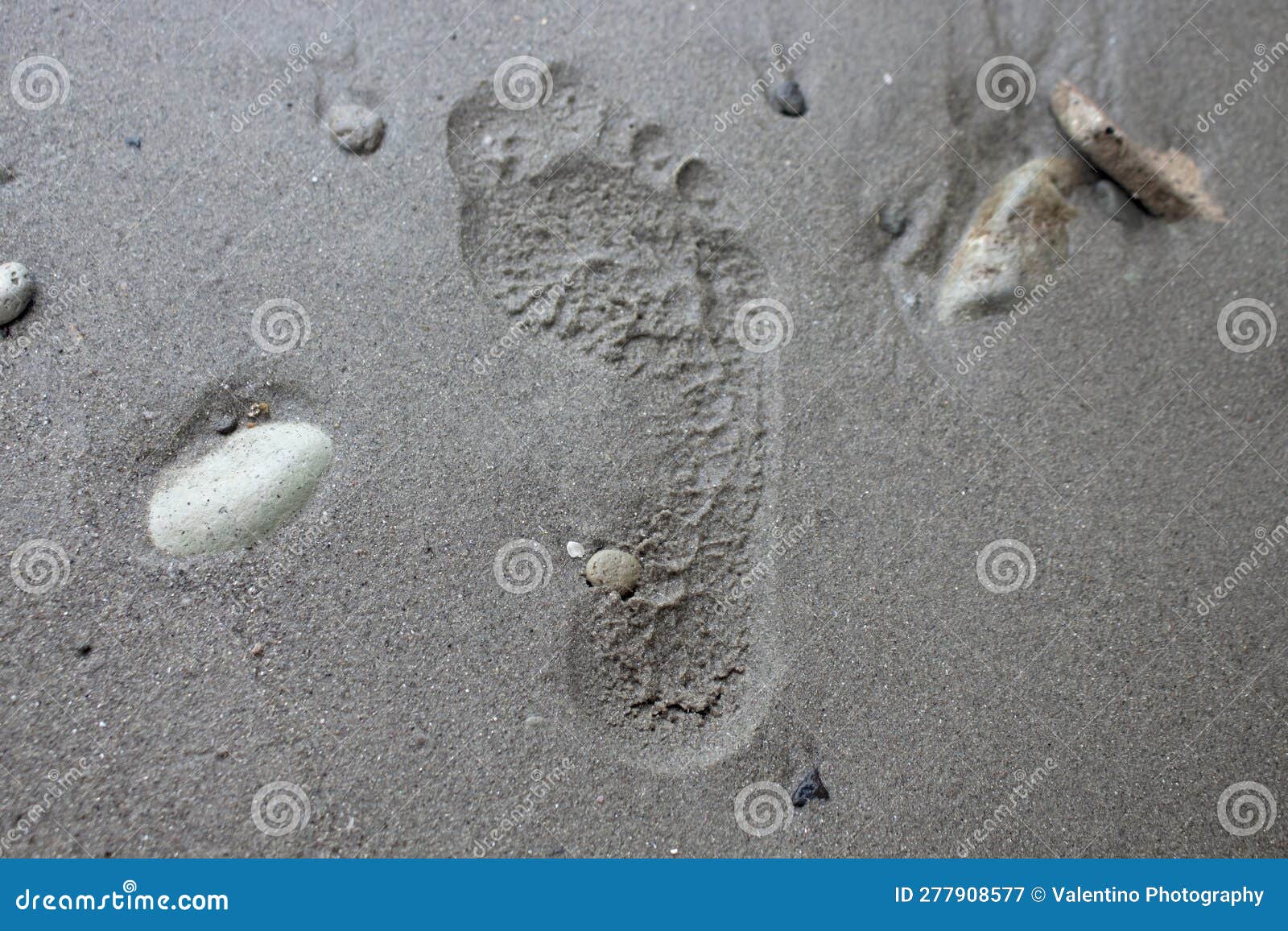 Human Footprints on the Right Side of the Beach Sand Stock Image ...