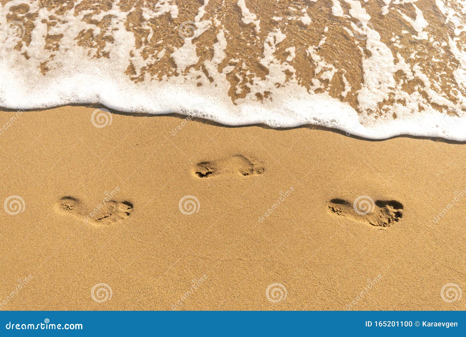Human Footprints LGBTQ Community Rainbow Flag Colors White Background ...