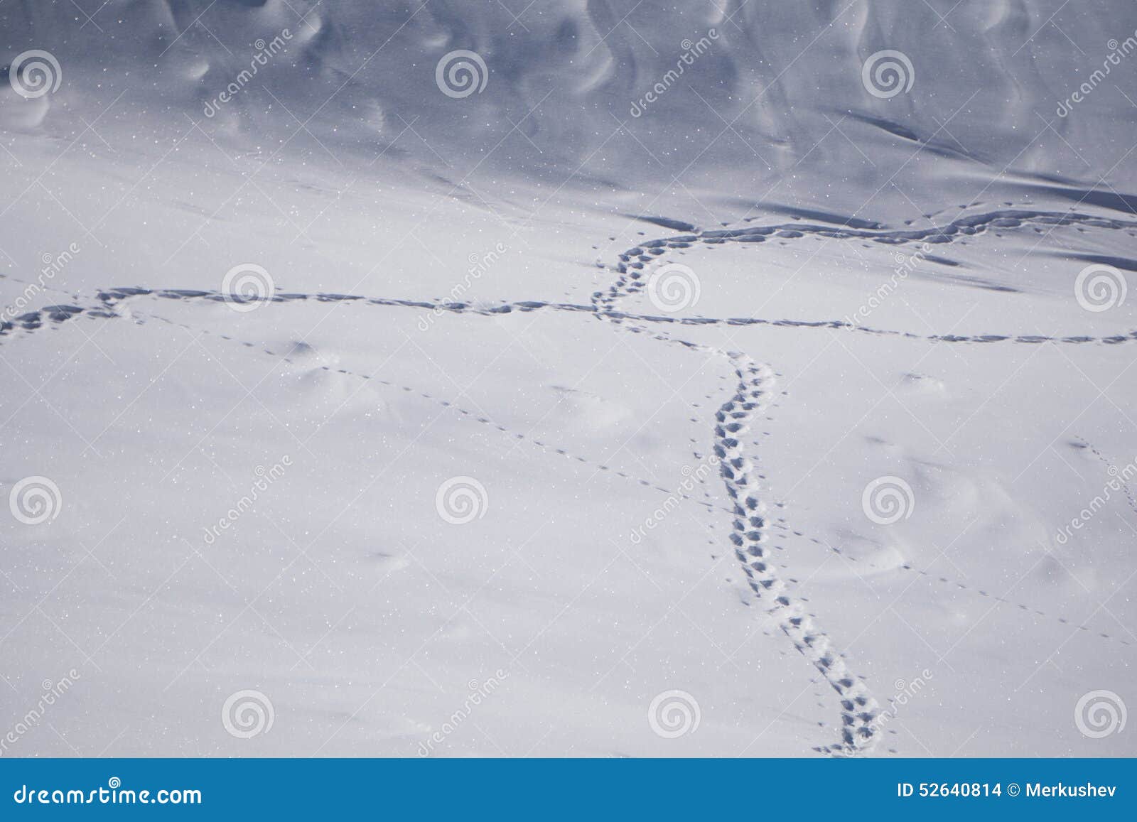 Human footprints in snow stock photo. Image of trace - 52640814