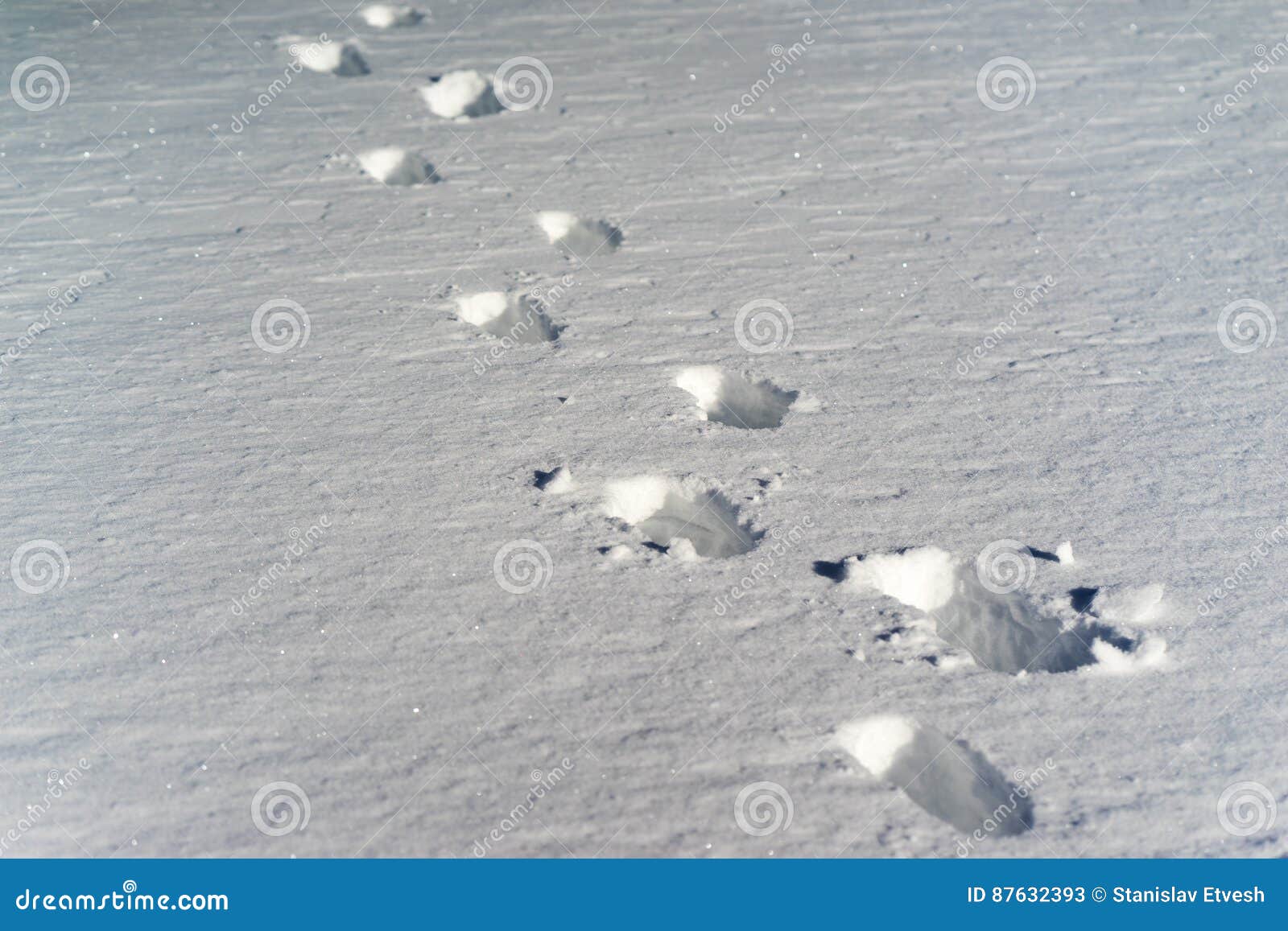 Human Footprints in the Snow. Footpath in the Snow Stock Image - Image ...