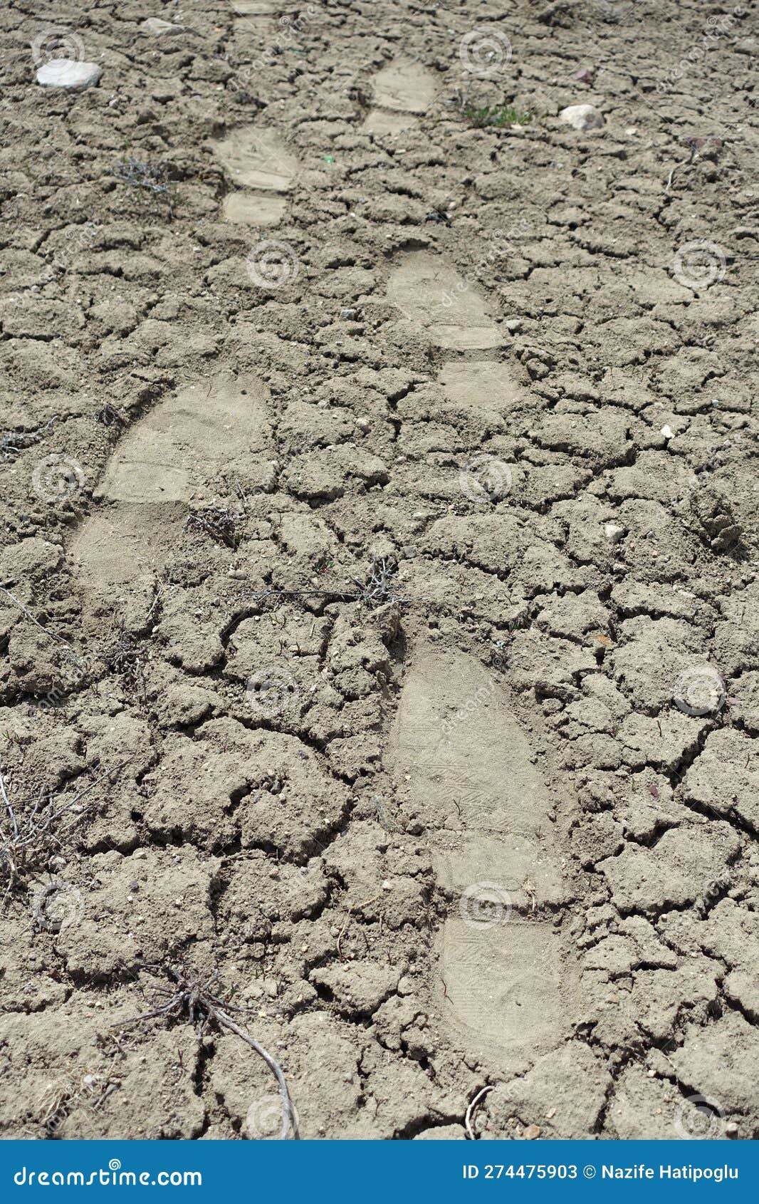 Human Footprints Walking on Cracked and Cleft Soils, Human Shoe Prints ...