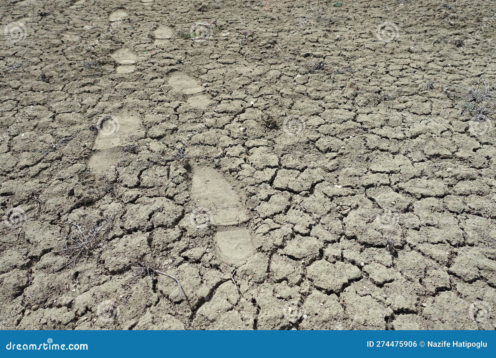 Human Footprints Walking on Cracked and Cleft Soils, Human Shoe Prints ...
