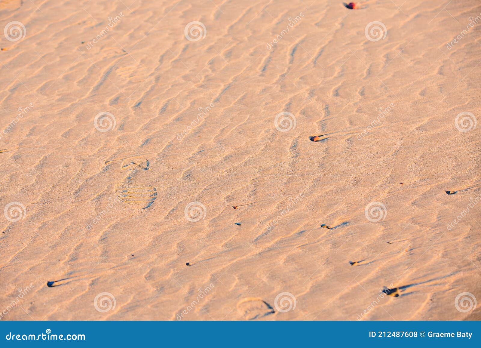 Human Footprints on Wet Sandy Beach Ripples Stock Photo - Image of foot ...