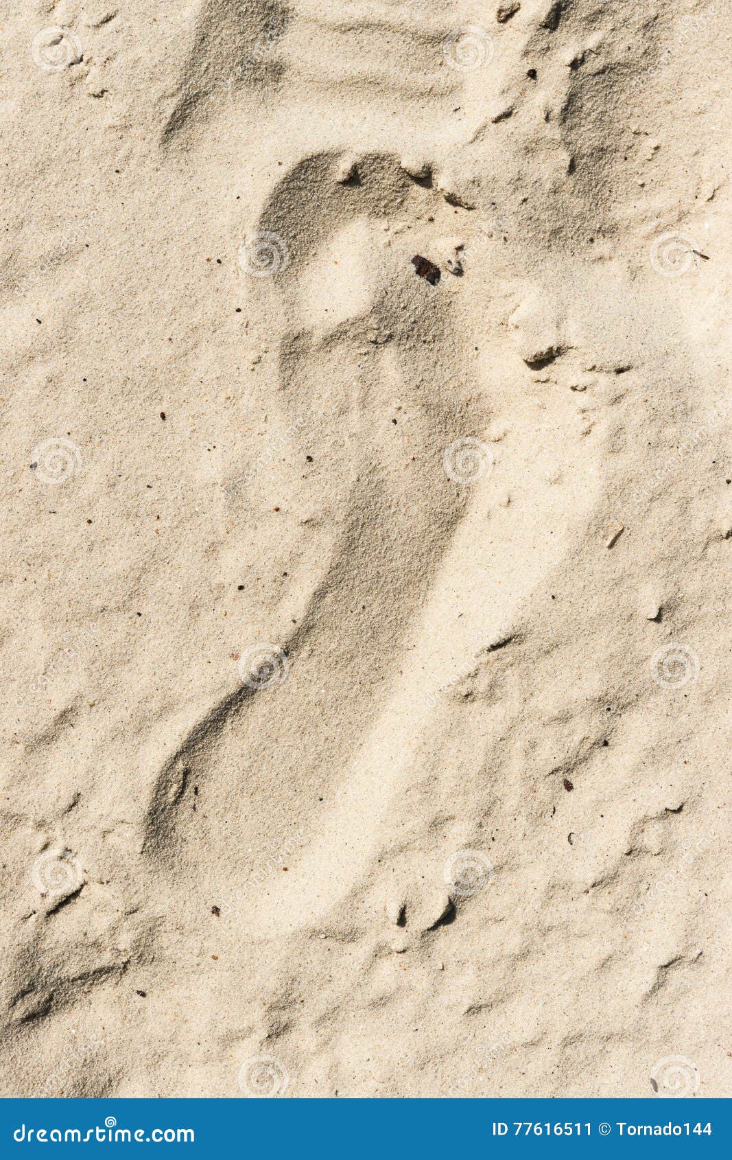 Human Footstep in a Beach Sand Stock Image - Image of object, beach ...