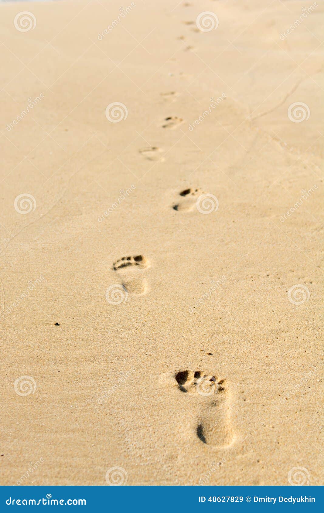 Human footsteps stock image. Image of path, seashore - 40627829
