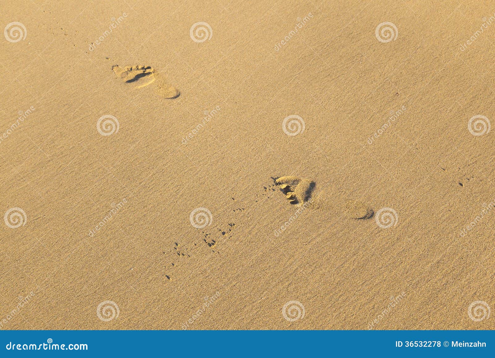 Human Footsteps at the Beach Stock Photo - Image of sunlight, ocean ...