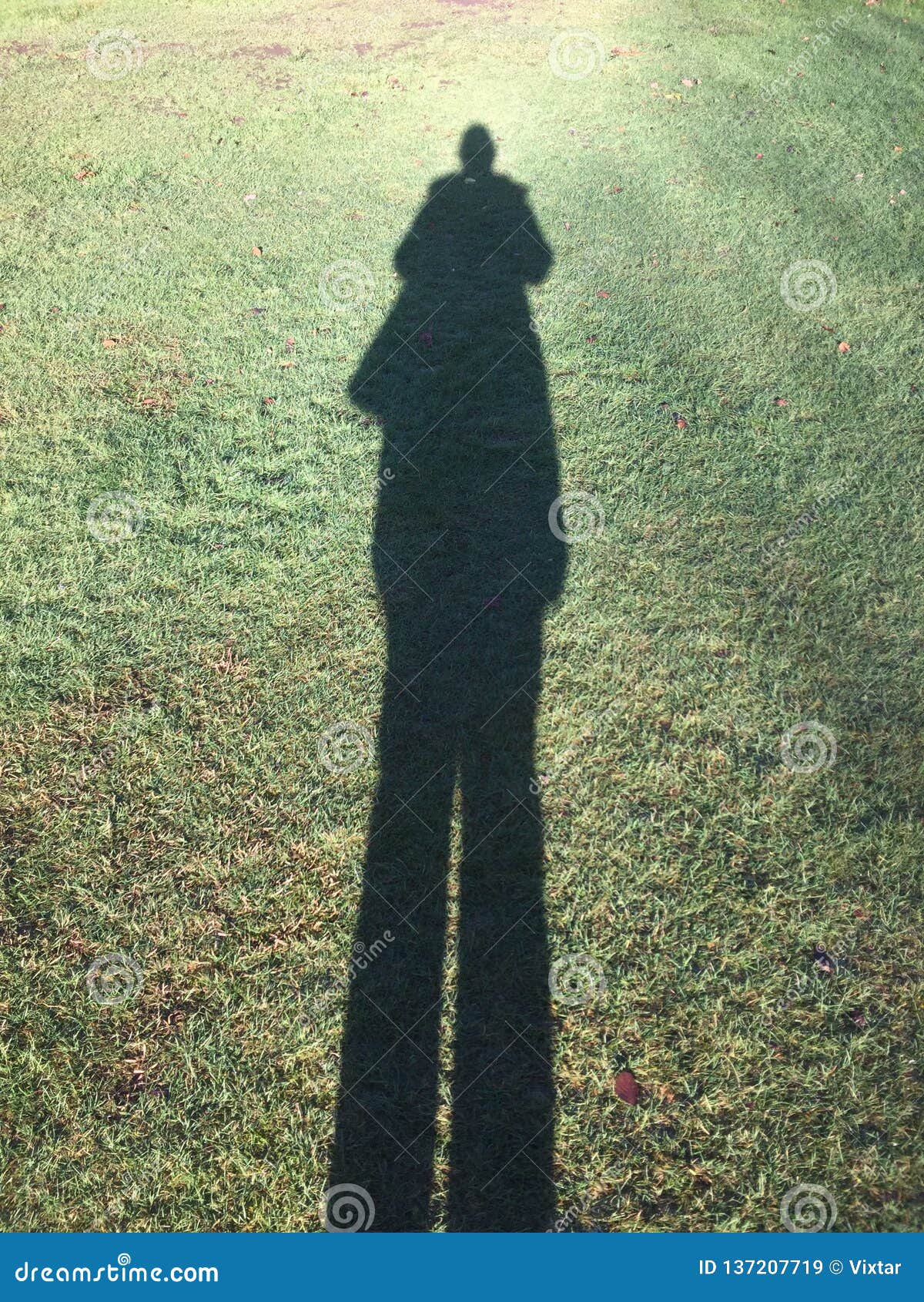 Human Form Casting a Shadow on Grass Stock Image - Image of shadow ...