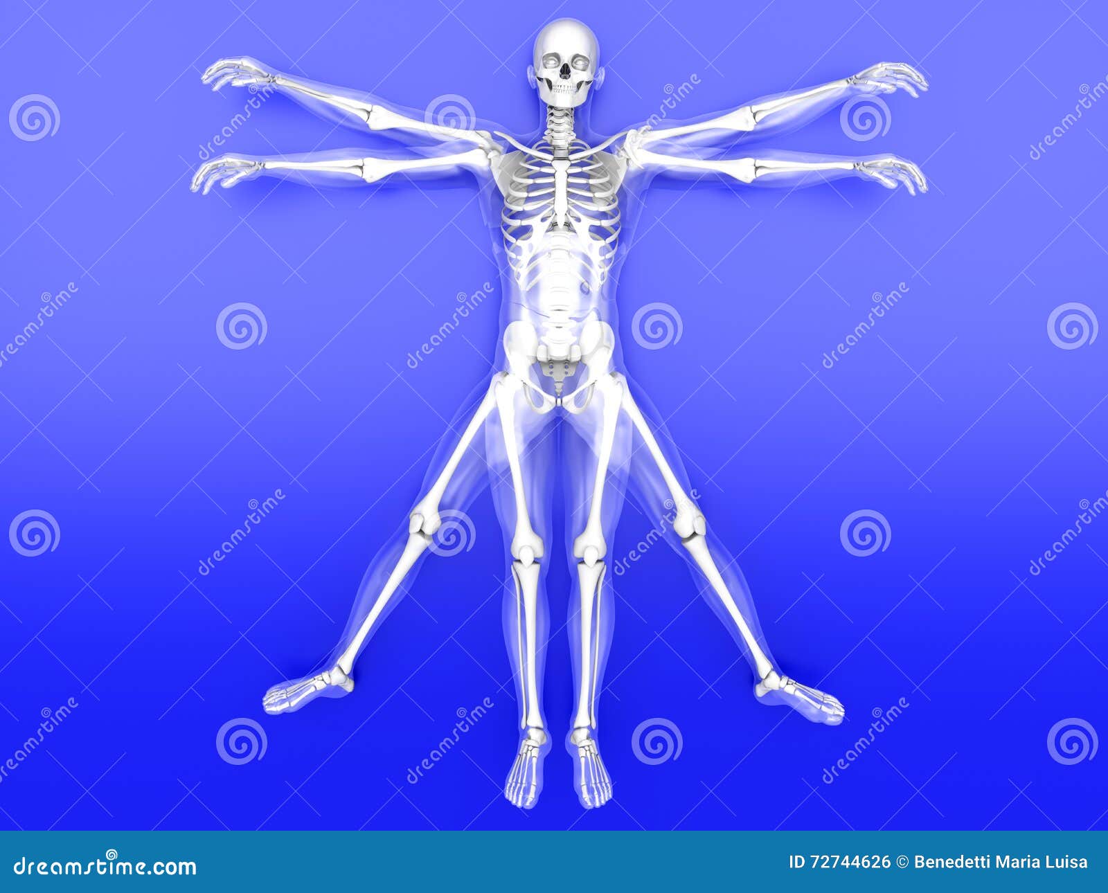 Human Form Stock Photography | CartoonDealer.com #72744626