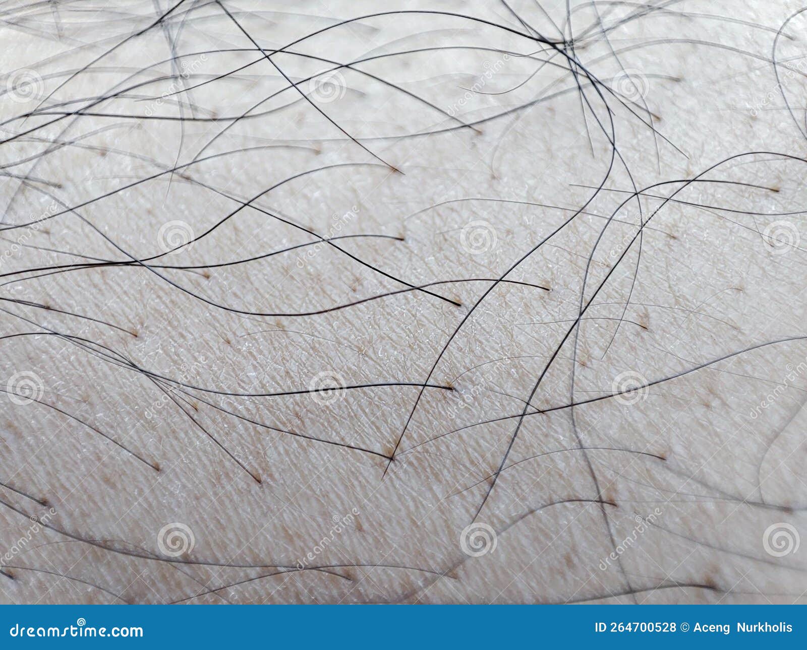 Human Fur and Skin from Visible with the Macro Camera Stock Photo ...