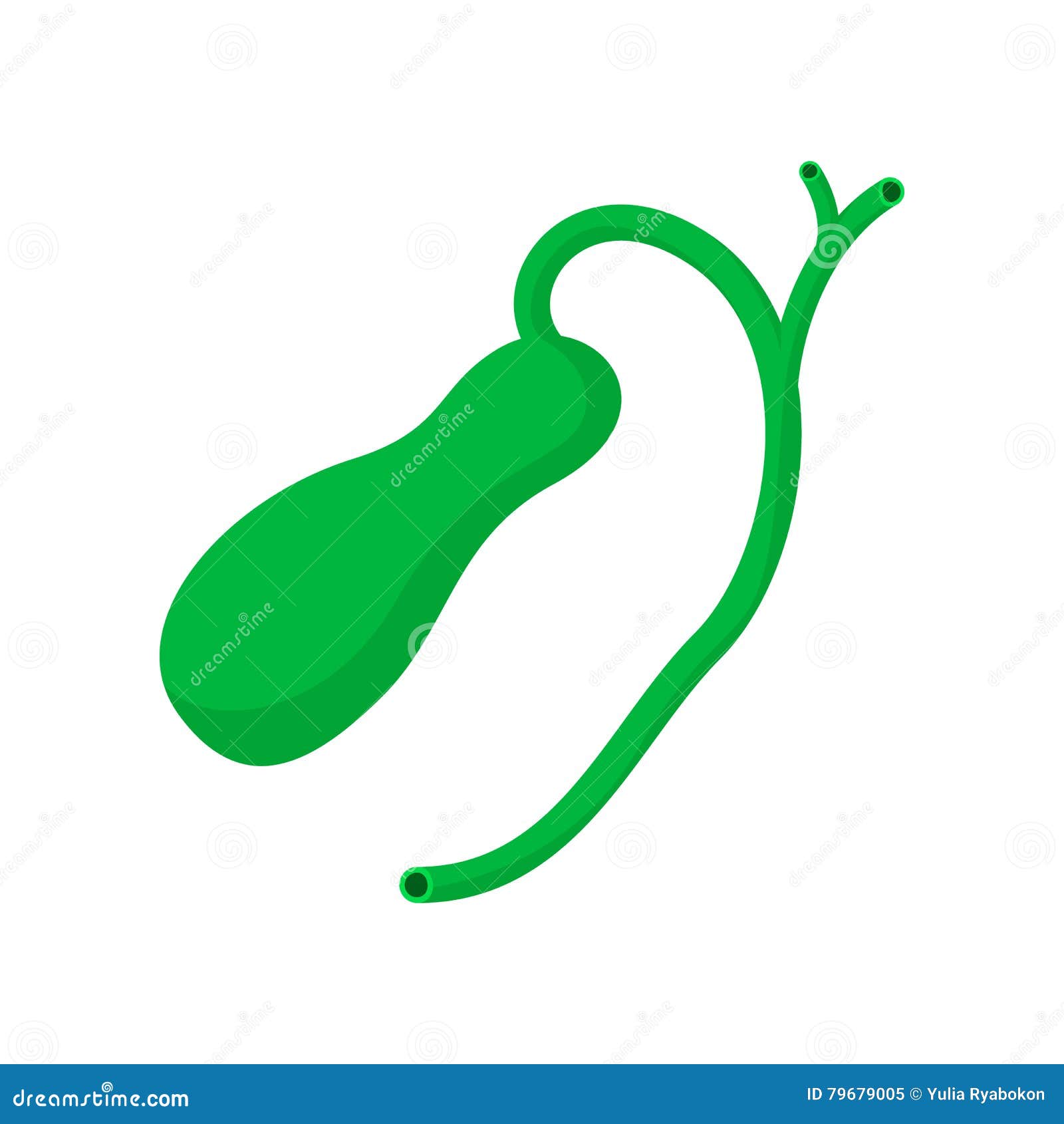 Human Gallbladder Cartoon Icon Stock Illustrations – 414 Human ...