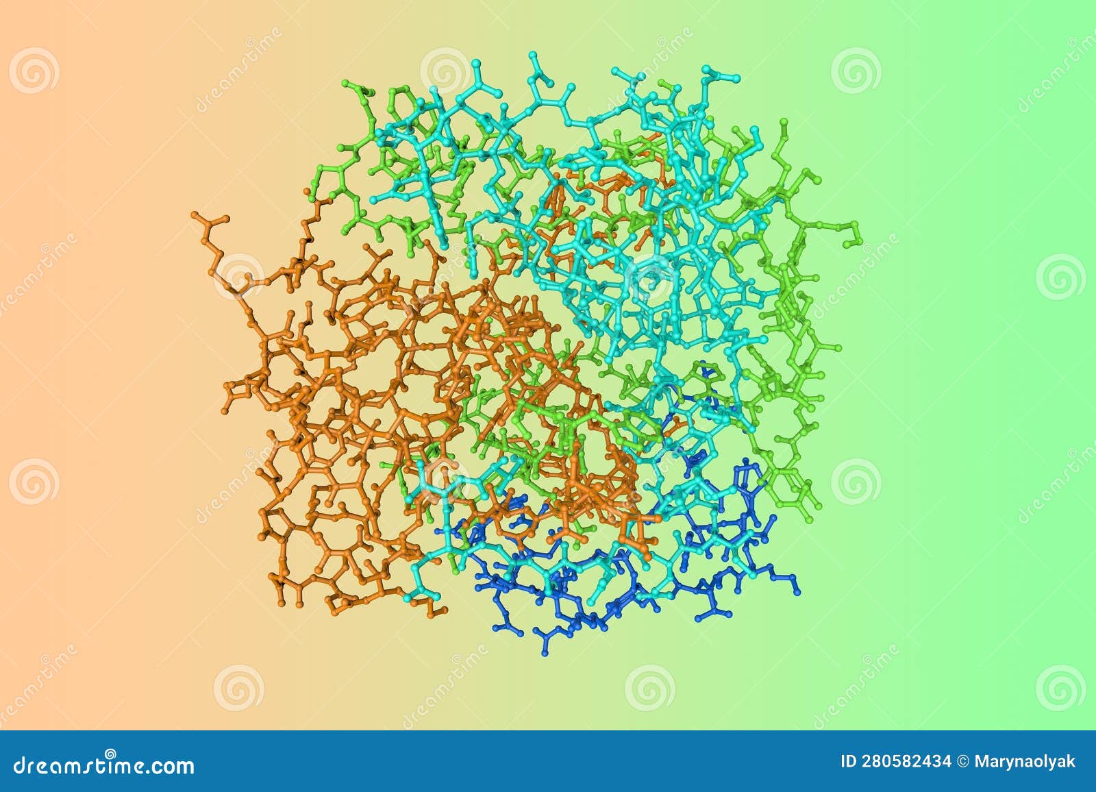 Human Gamma-thrombin. Molecular Model. Rendering with Differently ...