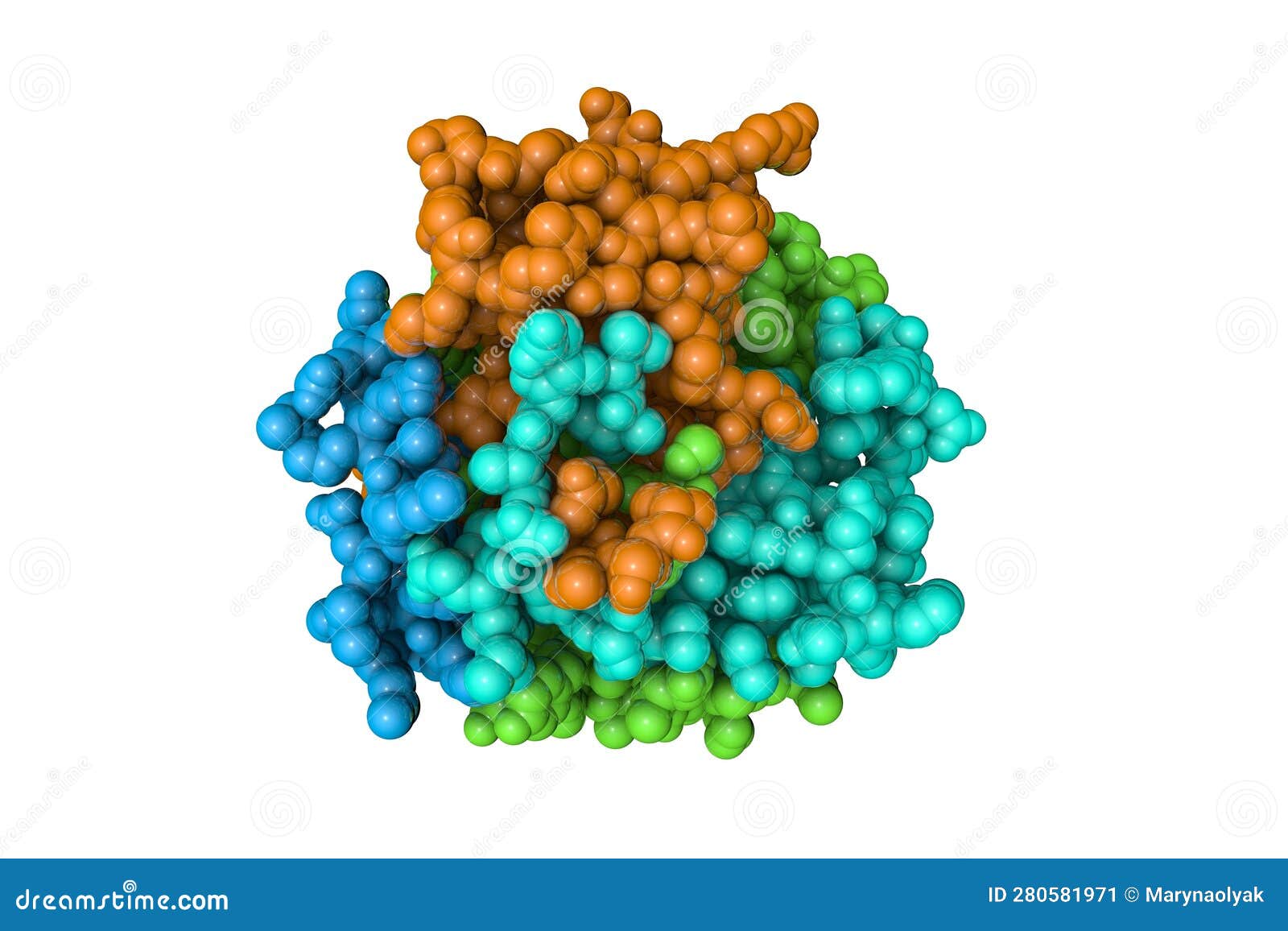 Human Gamma-thrombin. Rendering with Differently Colored Protein Chains ...