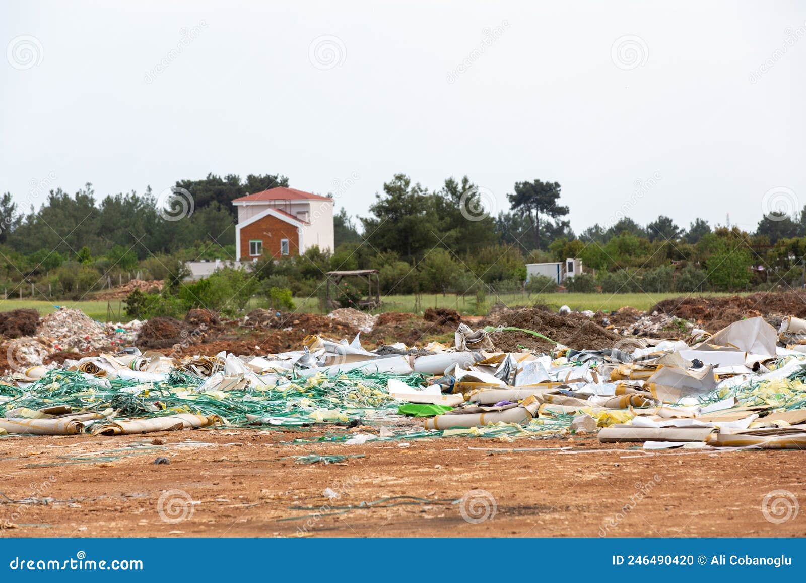 Human Garbage Thrown into the Clean Nature. Environmental Pollution ...