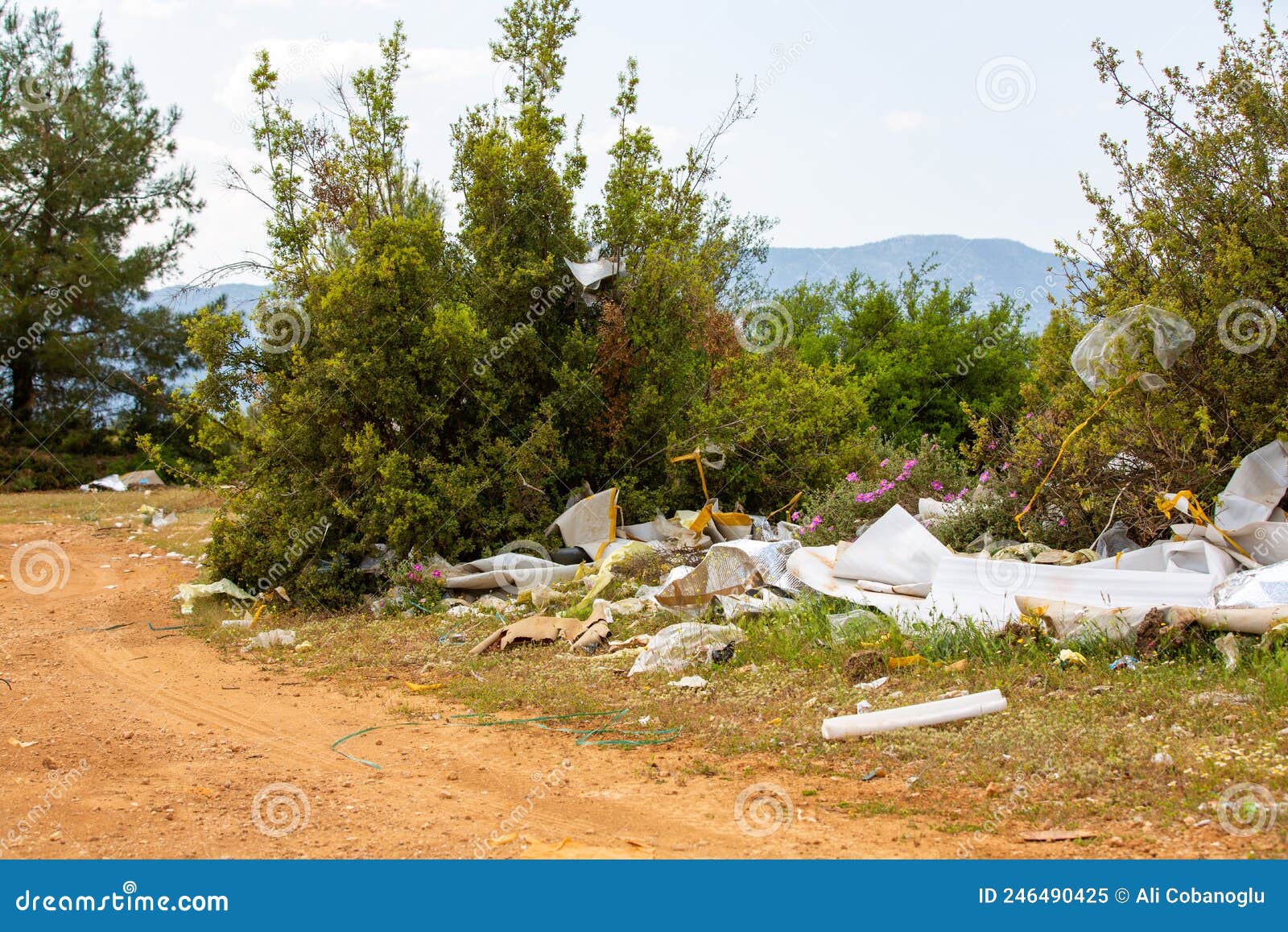 Human Garbage Thrown into the Clean Nature. Environmental Pollution ...