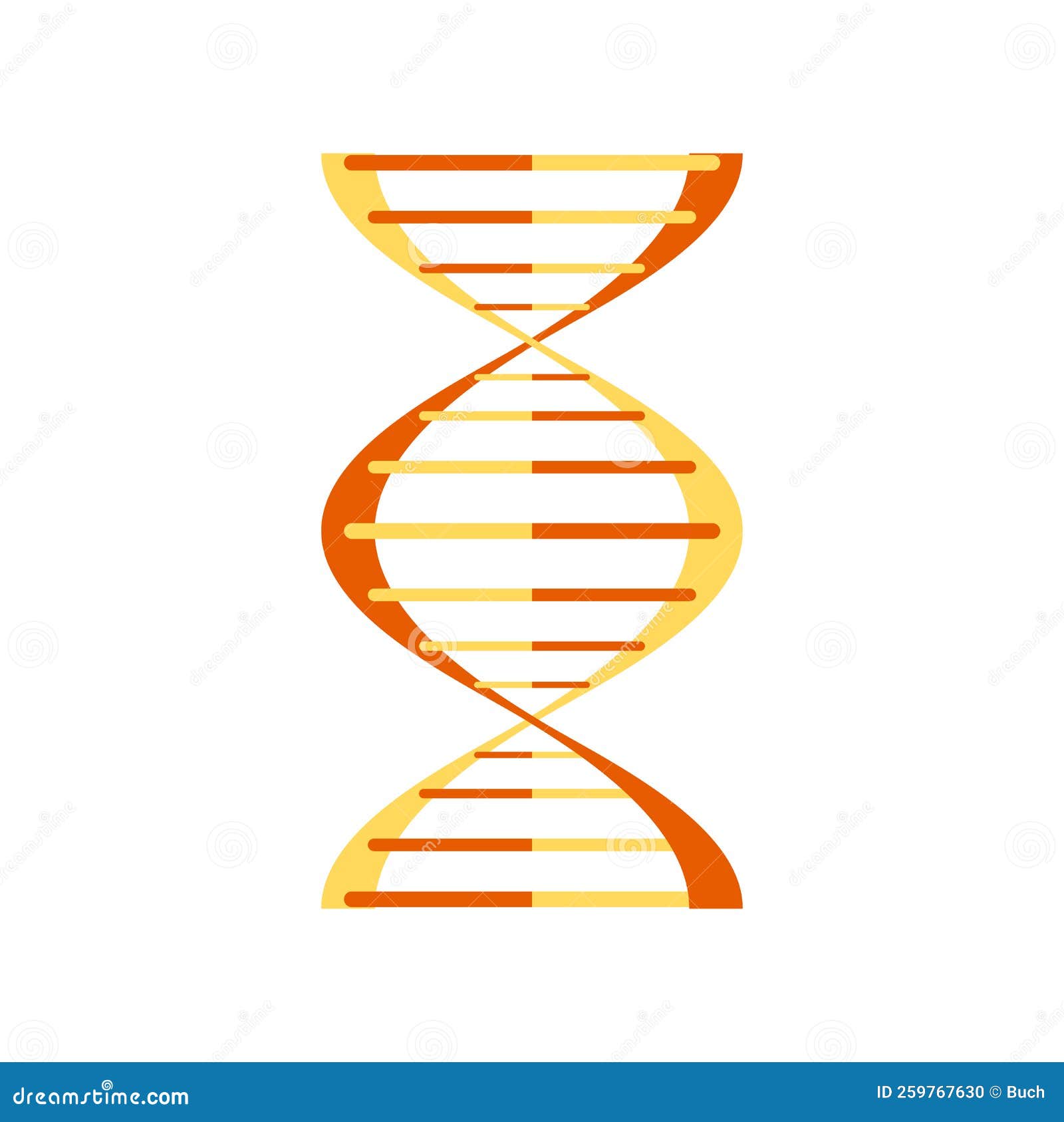 Human Genes Cell, DNA Molecules Helix Structure Stock Vector ...