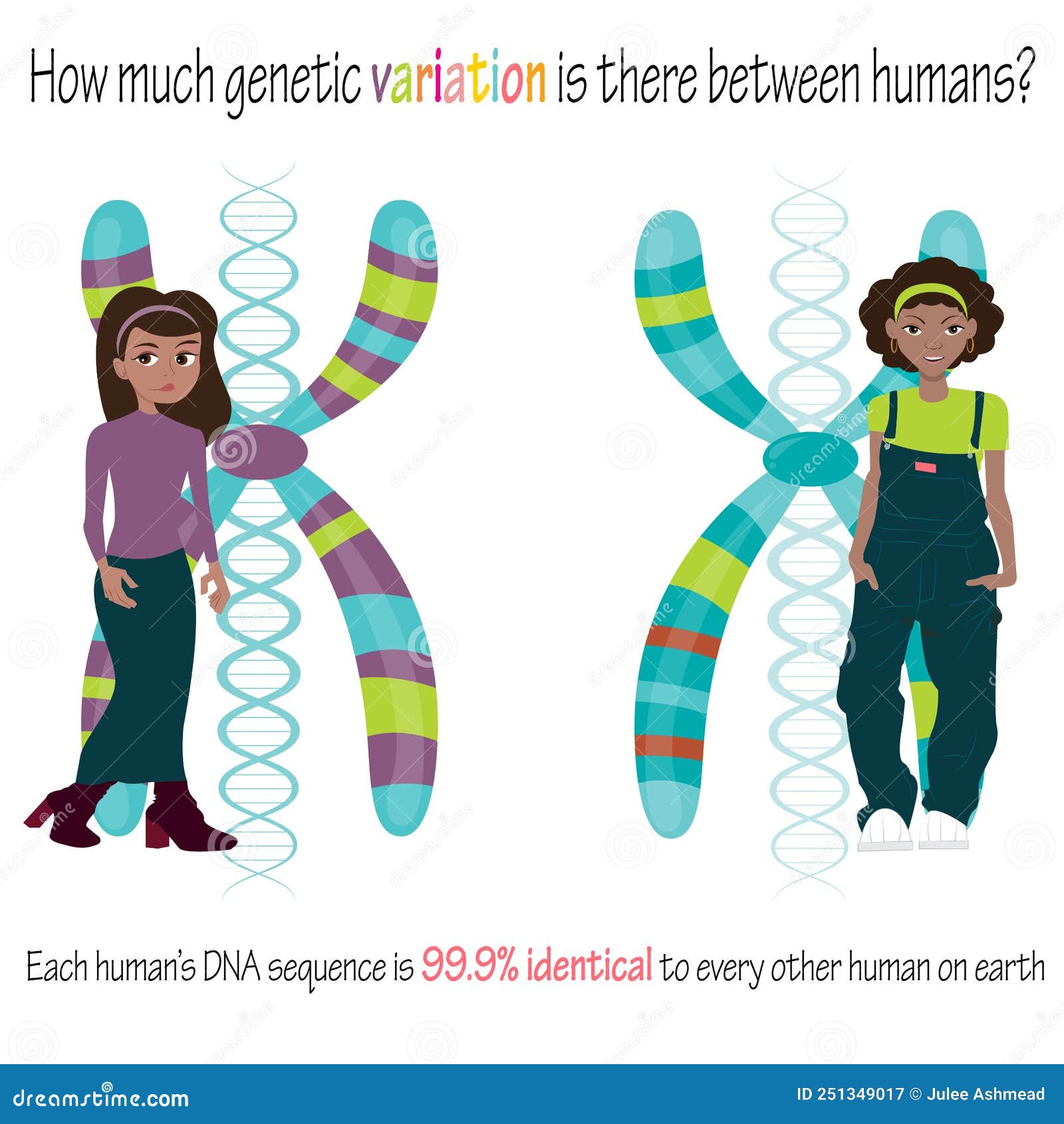 Human Genetic Variation Amongst Different Populations Stock ...