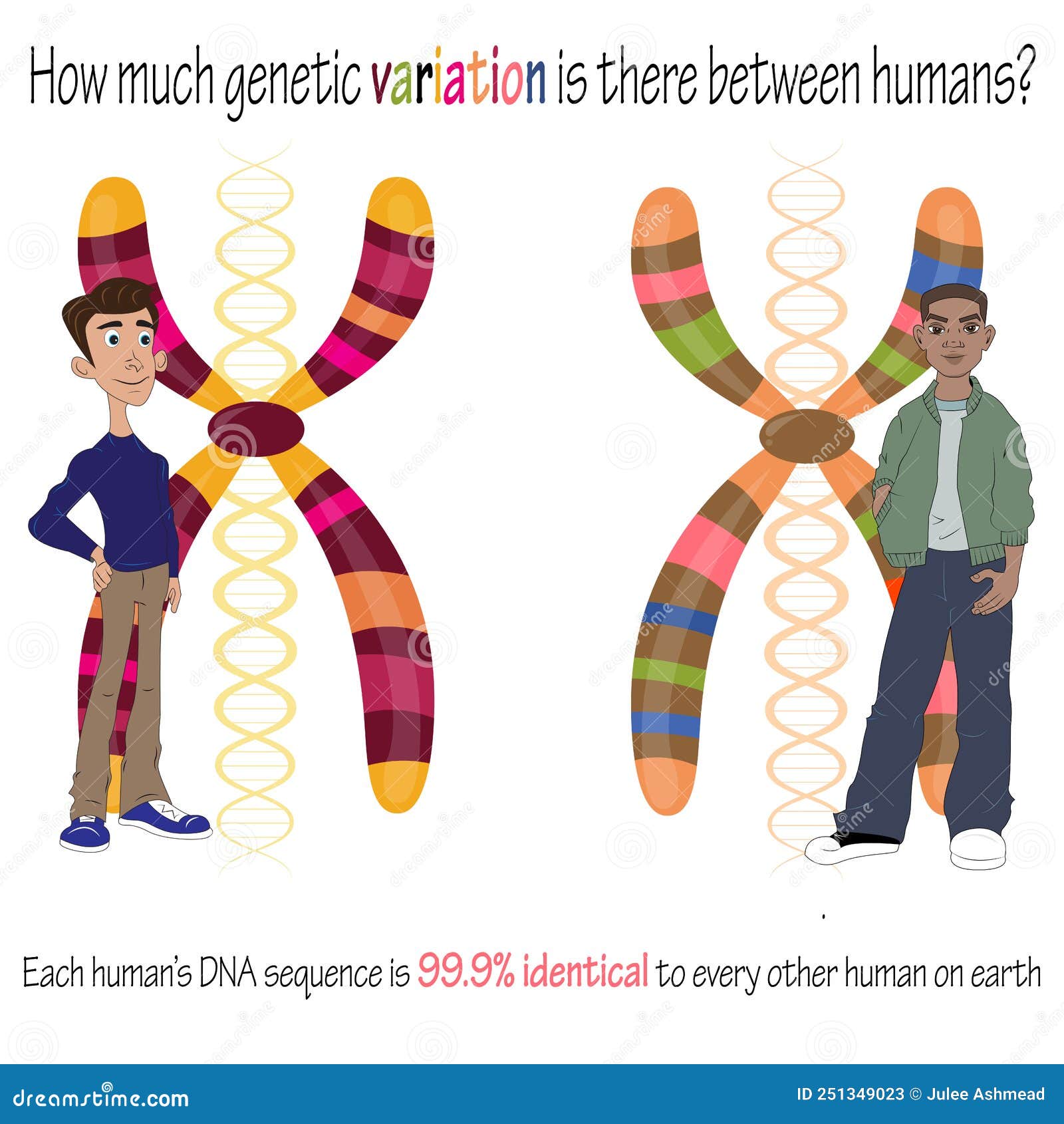 Human Genetic Variation Amongst Different Populations Stock Vector ...