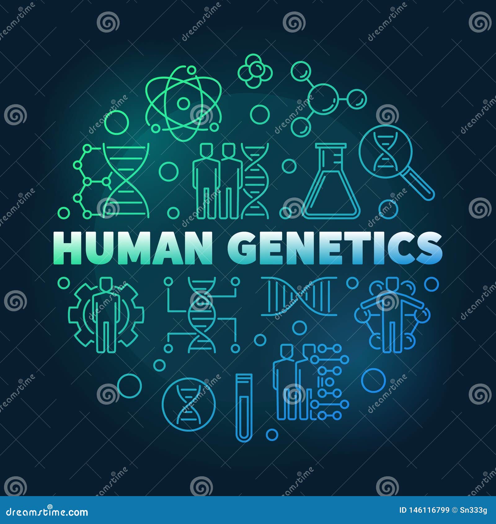 Human Genetics Vector Round Colored Linear Illustration Stock Vector ...