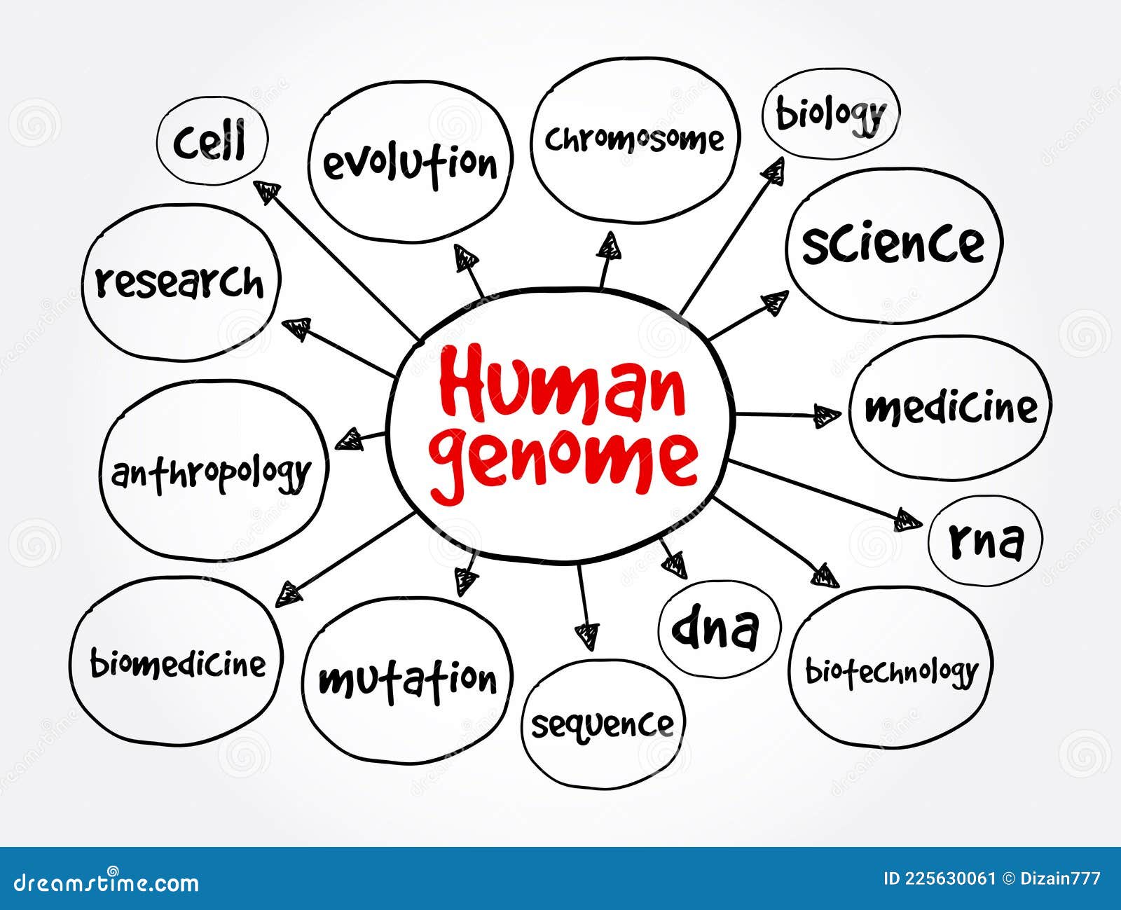 Mutation Mind Map, Concept For Presentations And Reports Royalty-Free ...