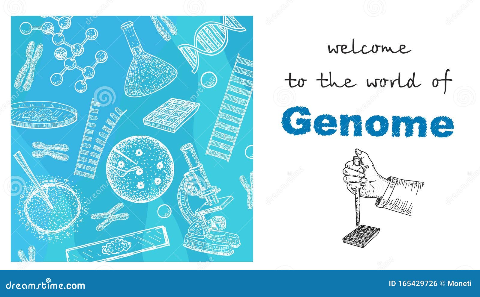 Human Genome Project. Health And Biochemistry Laboratory Of ...