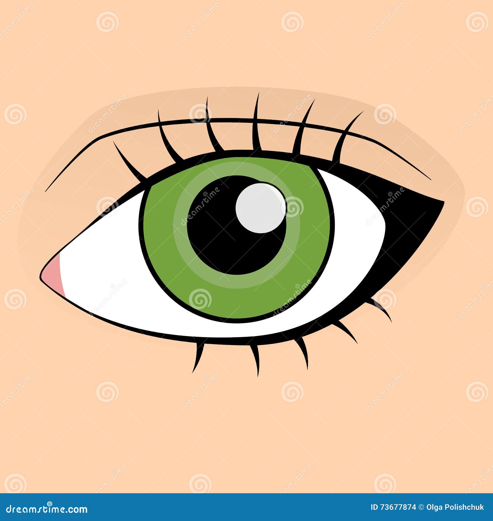 Human green eye stock illustration. Illustration of lens - 73677874