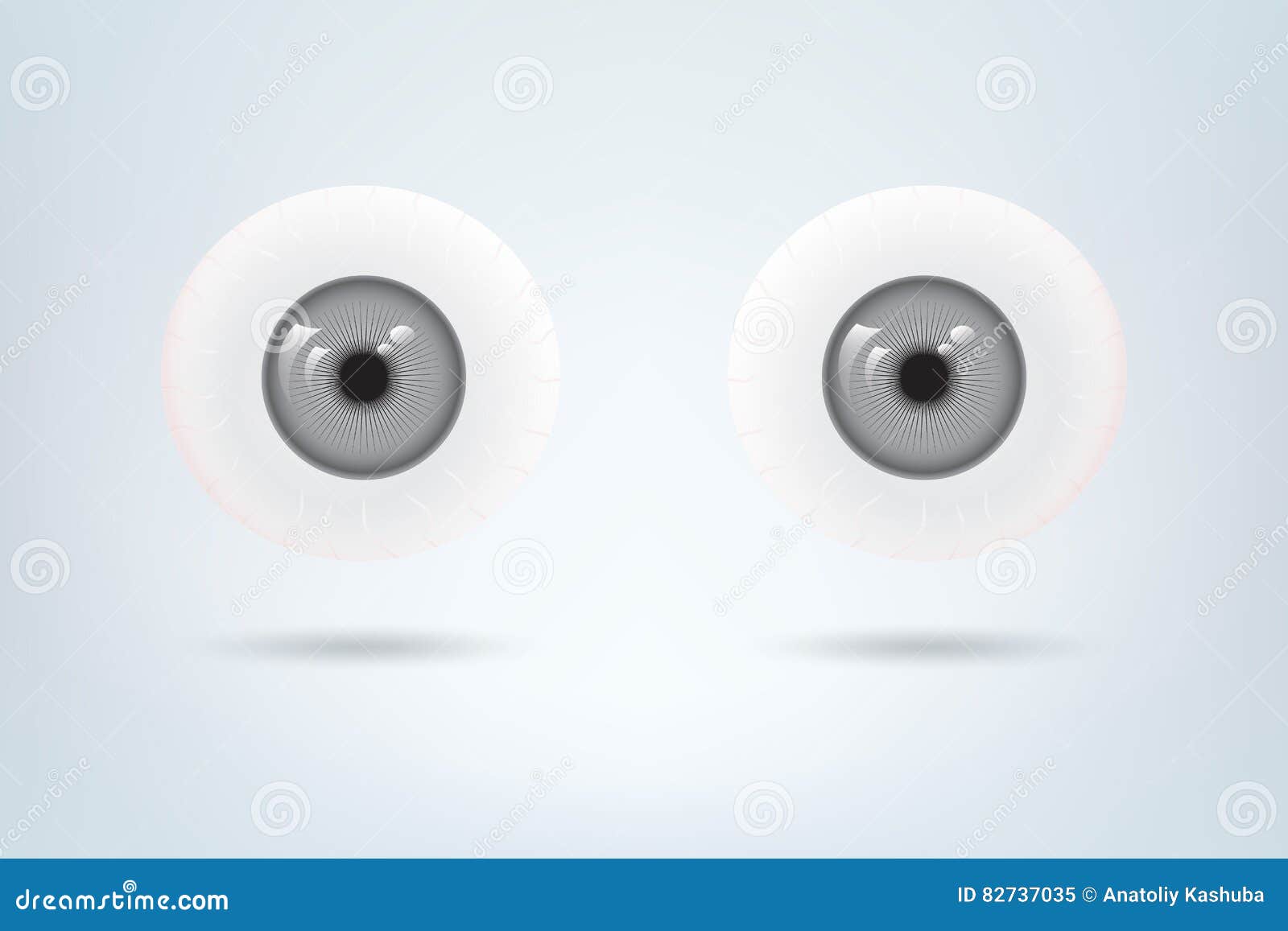 Human Grey Eyes Balls Pupil. Medical Visual Material Stock Vector ...