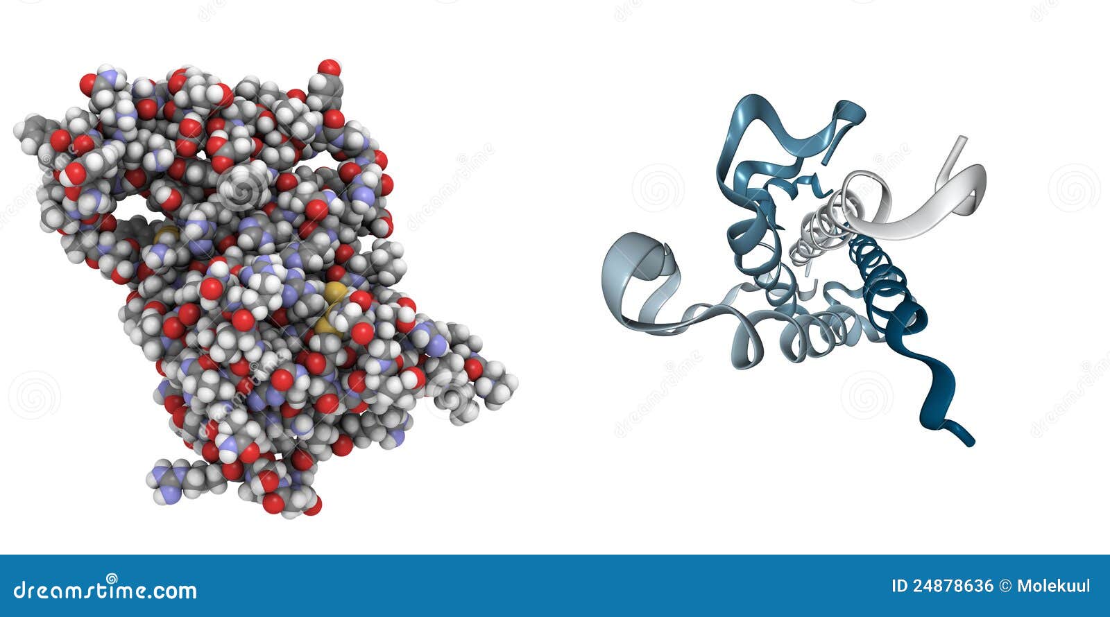 Human growth hormone (HGH) stock illustration. Illustration of human ...