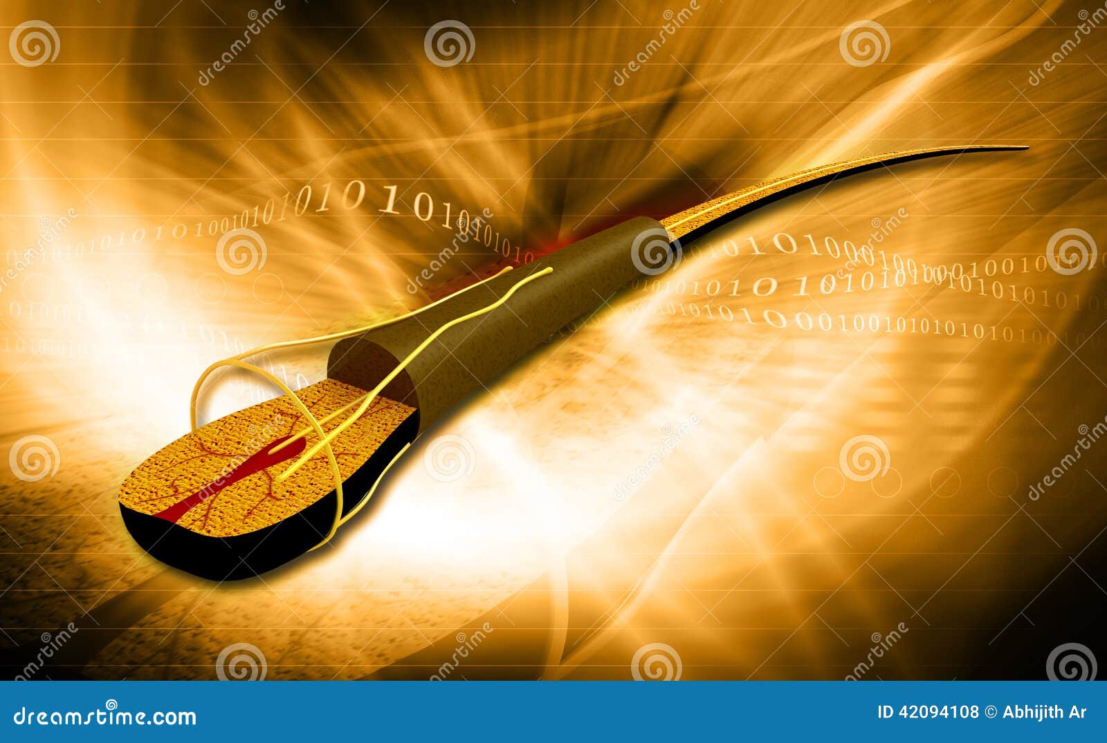 Human Hair structure stock illustration. Illustration of health - 42094108