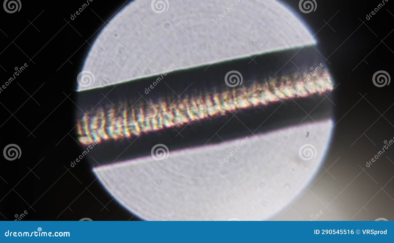 Human Hair Under a Microscope Stock Footage - Video of research ...
